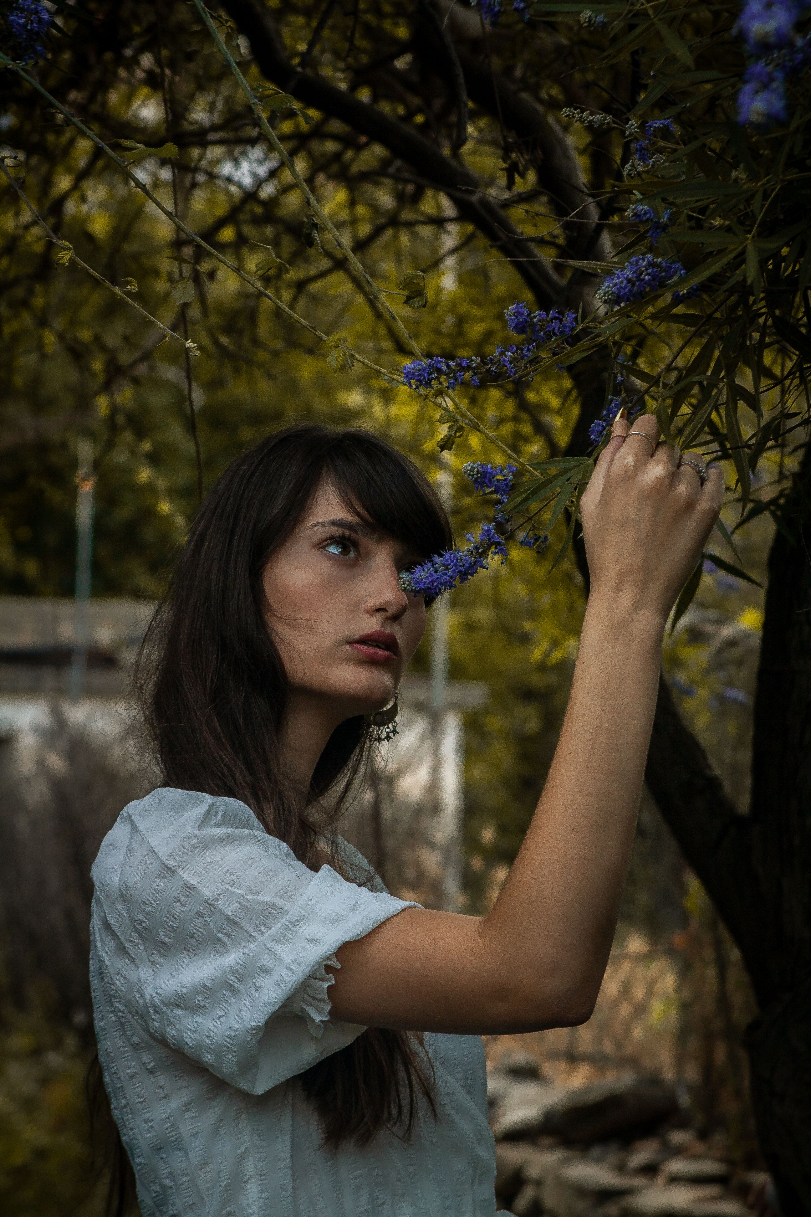 Beautiful Woman Purple Flower Photos, Download The BEST Free Beautiful ...