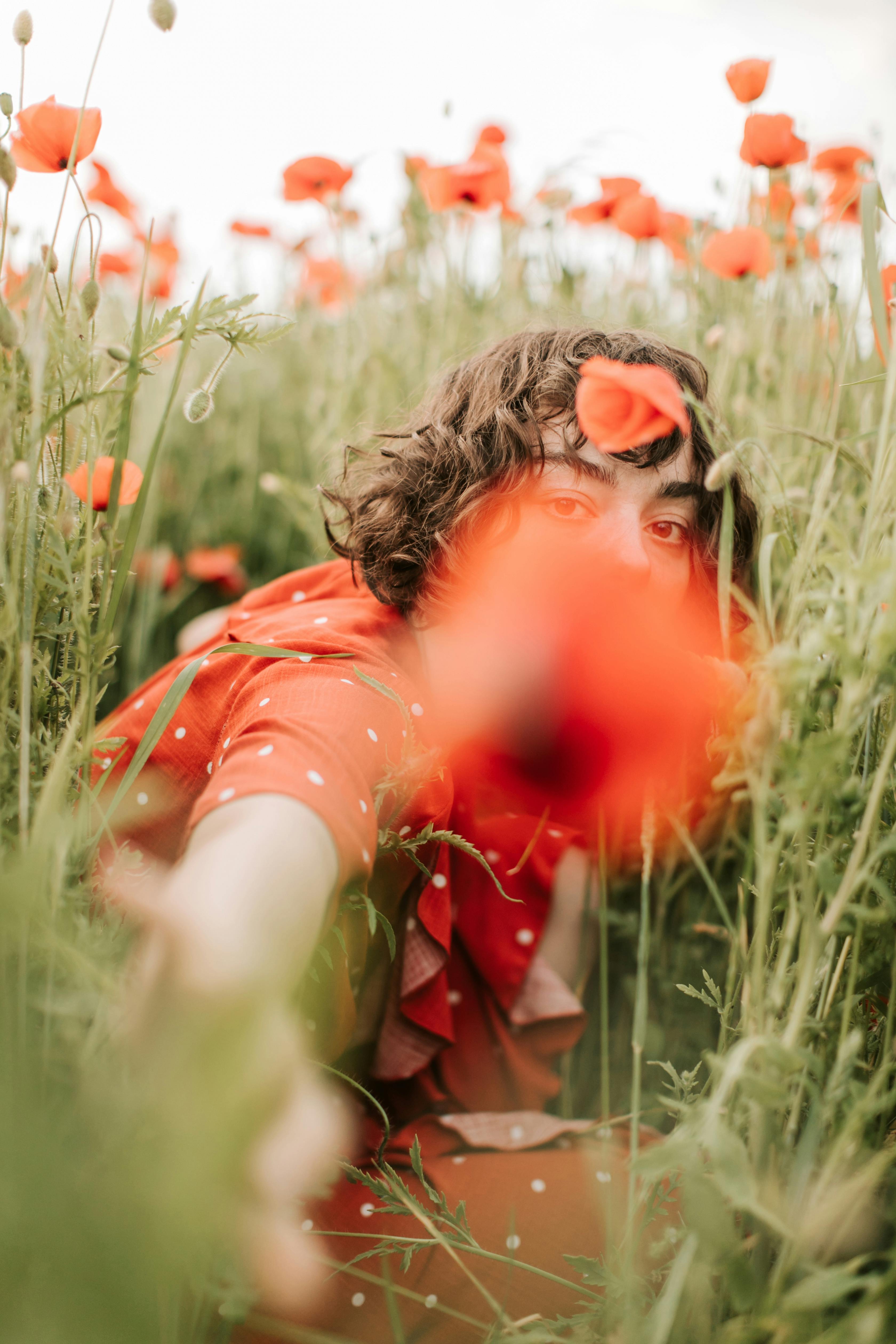 Girl Reaching for Flower · Free Stock Photo