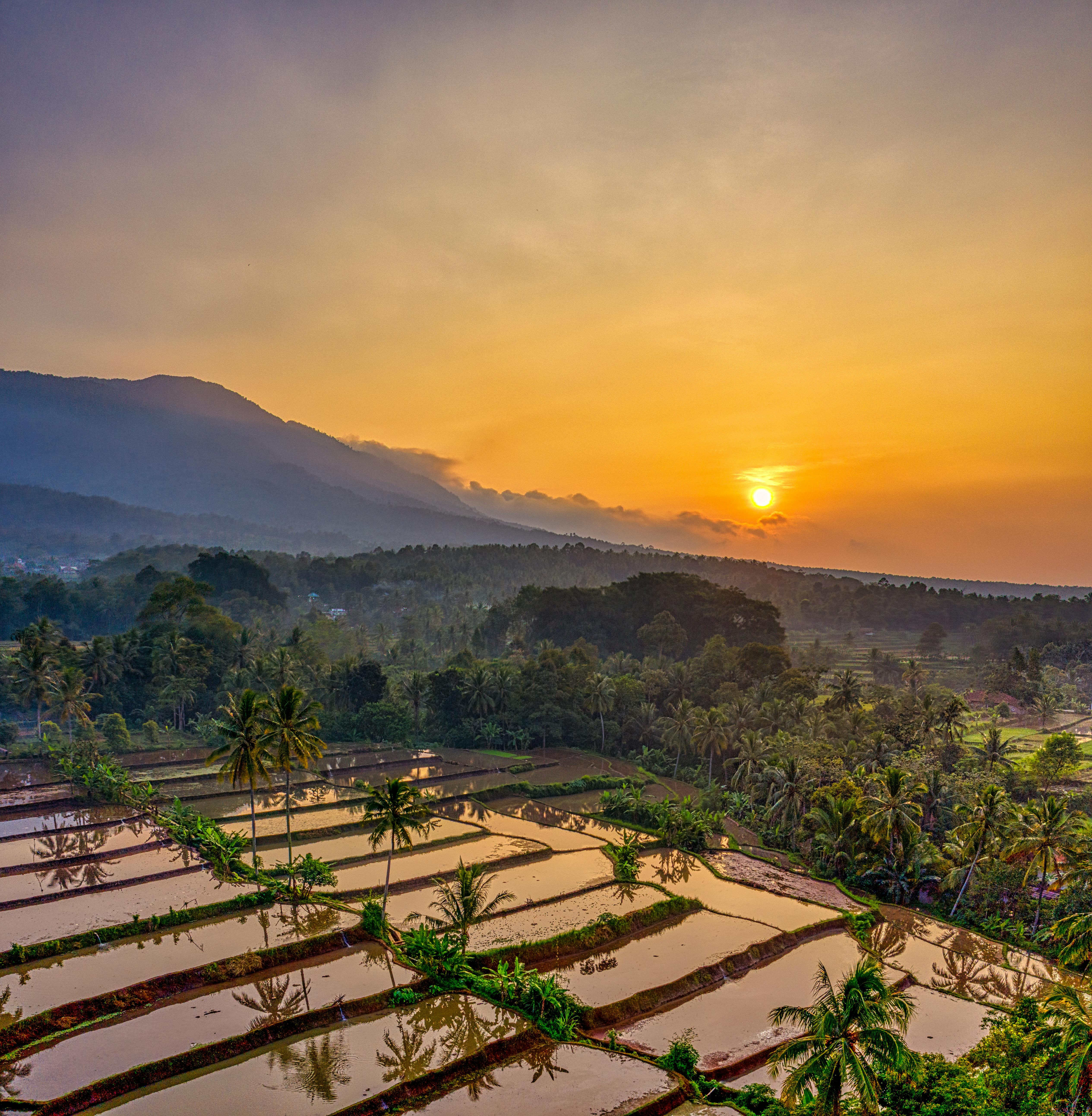 Aerial Photography of Rice Terraces During Sunset · Free Stock Photo