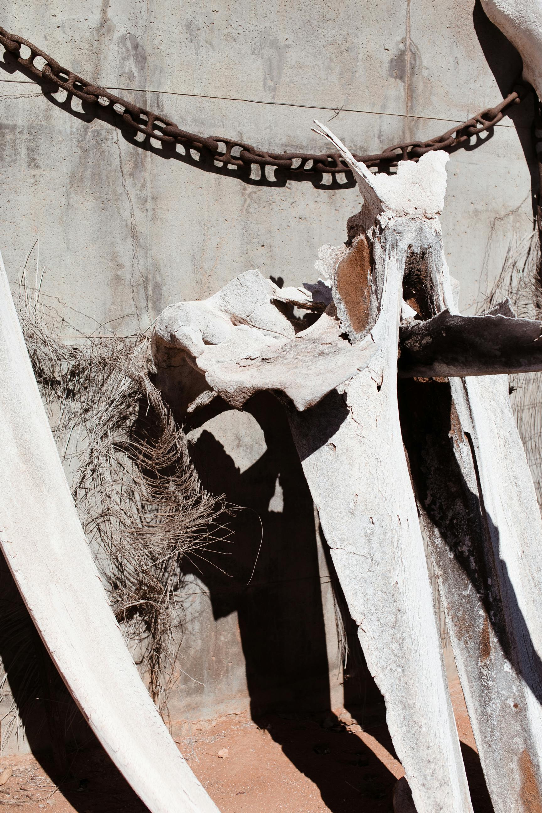 68+ Best Free Cruel Stock Photos & Images · 100% Royalty-Free HD Downloads