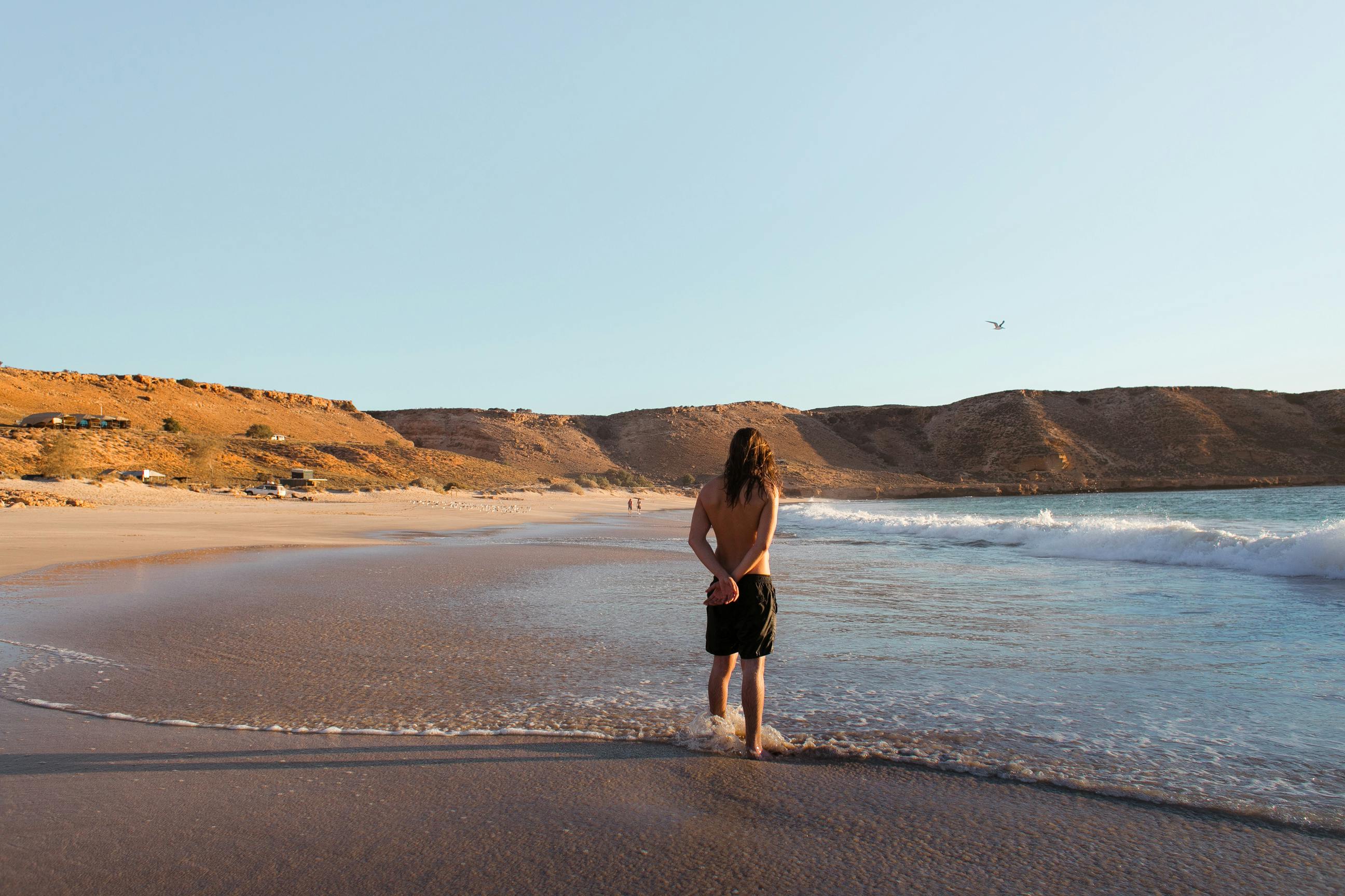 Faceless man admiring seascape from beach · Free Stock Photo