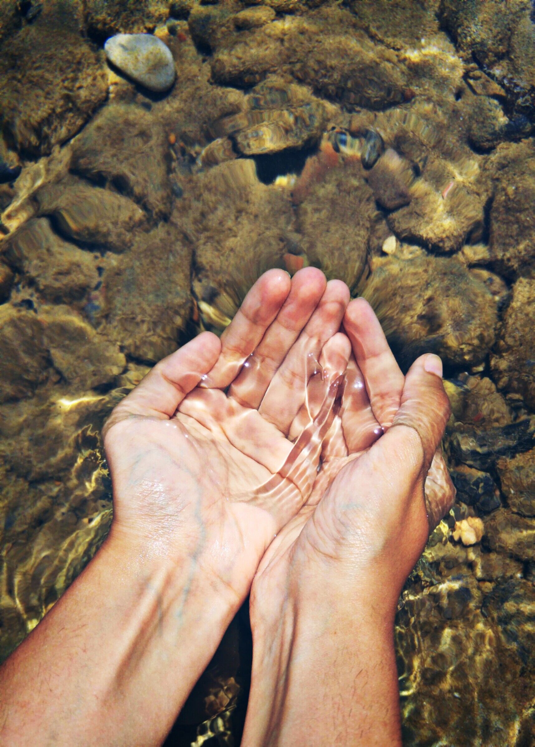 A Person Dipping His Hands in the Water · Free Stock Photo
