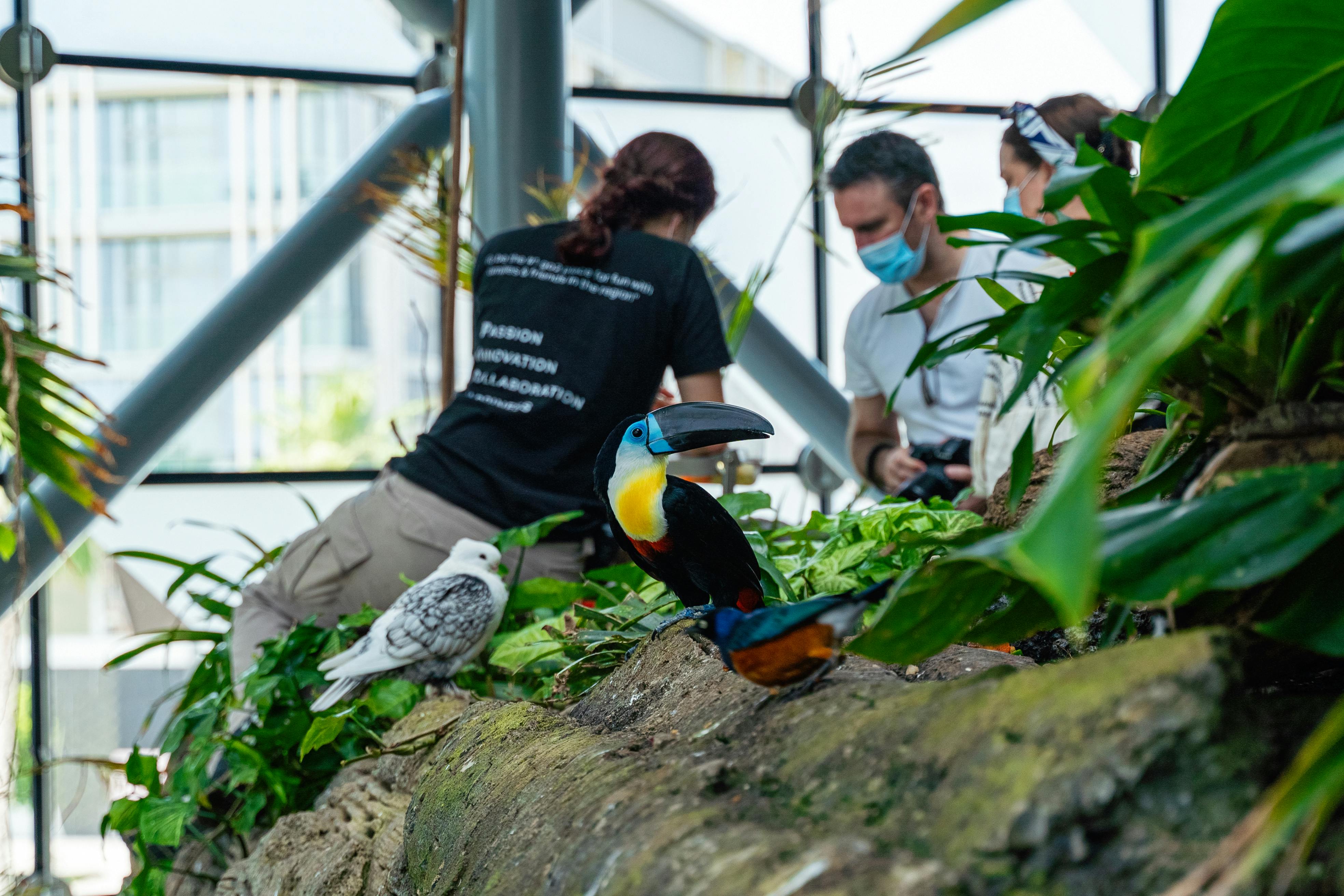 Indoor Birds Photos, Download The BEST Free Indoor Birds Stock Photos ...