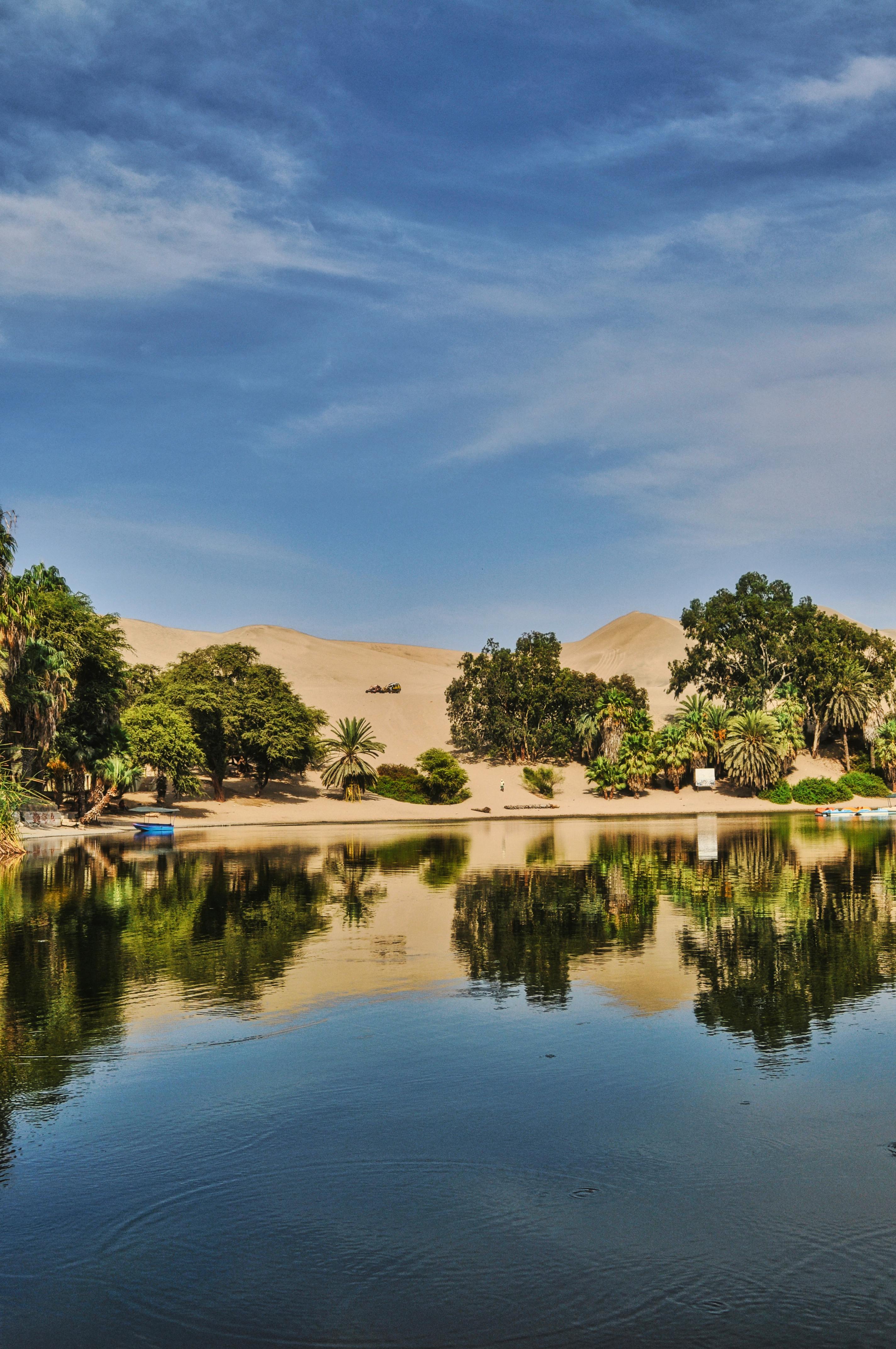 Desert Oasis Photos, Download The BEST Free Desert Oasis Stock Photos ...
