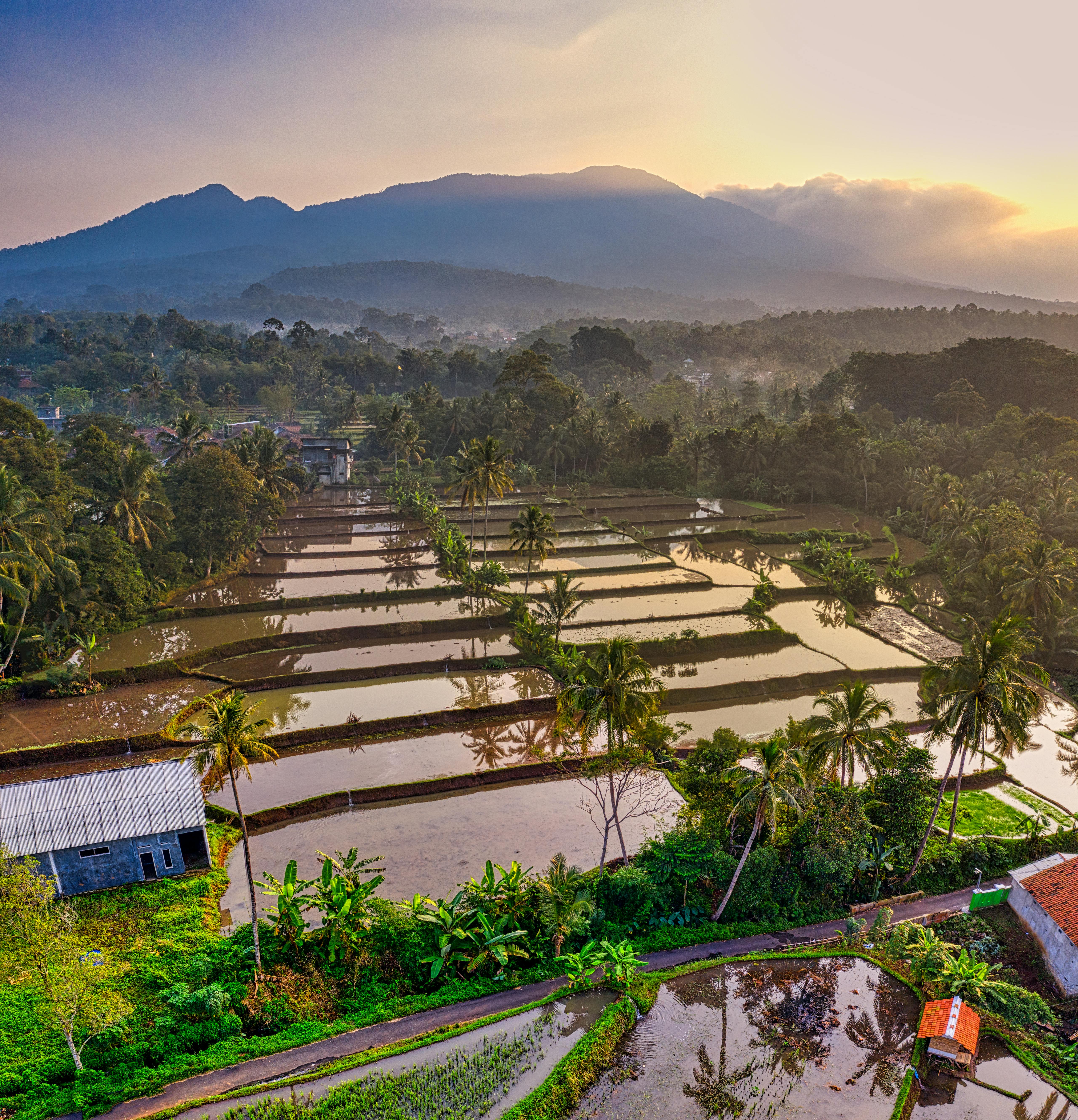 Indonesian Rural Areas Photos, Download The BEST Free Indonesian Rural ...