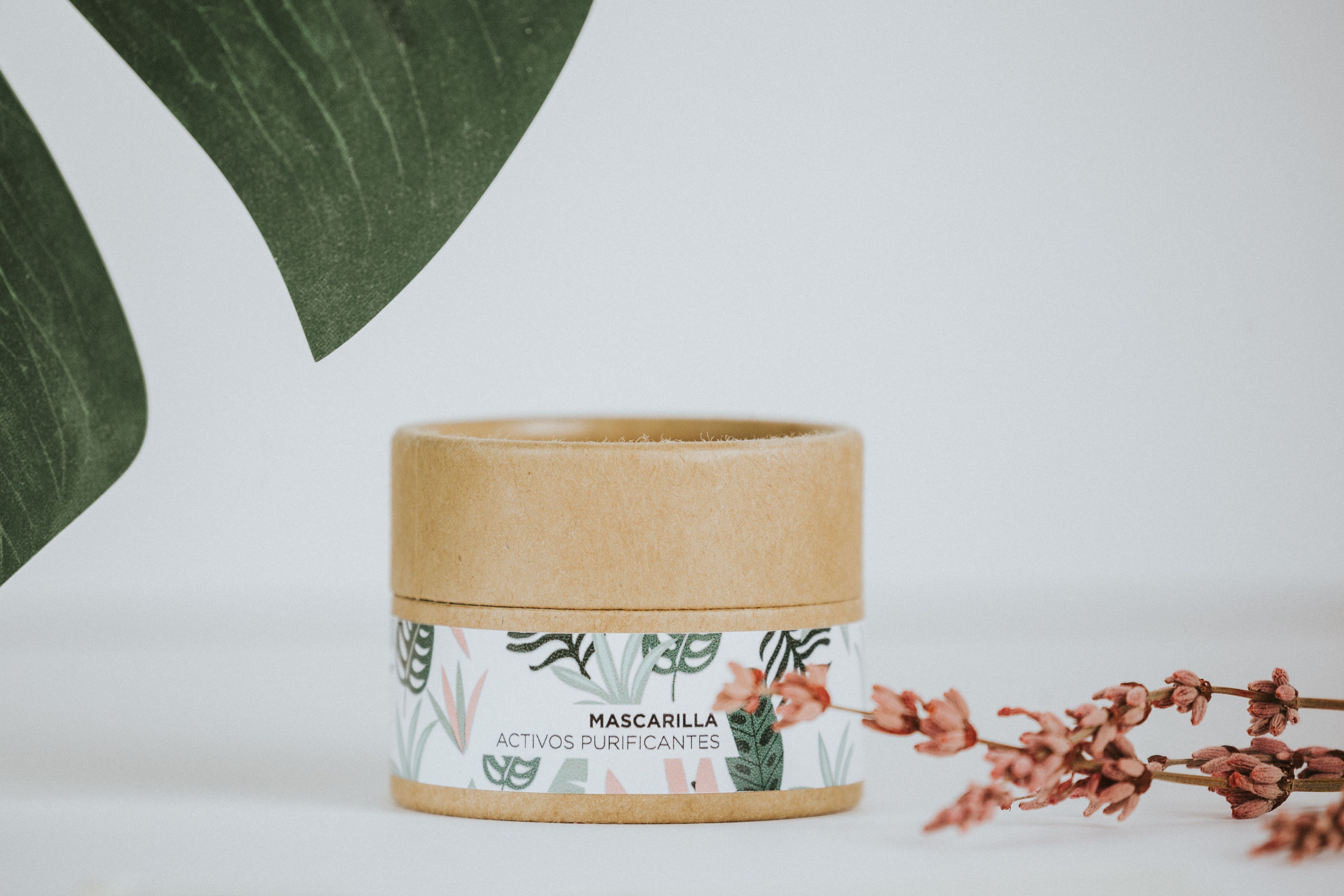 Shallow Focus Photo of Misolo Beauty Product · Free Stock Photo