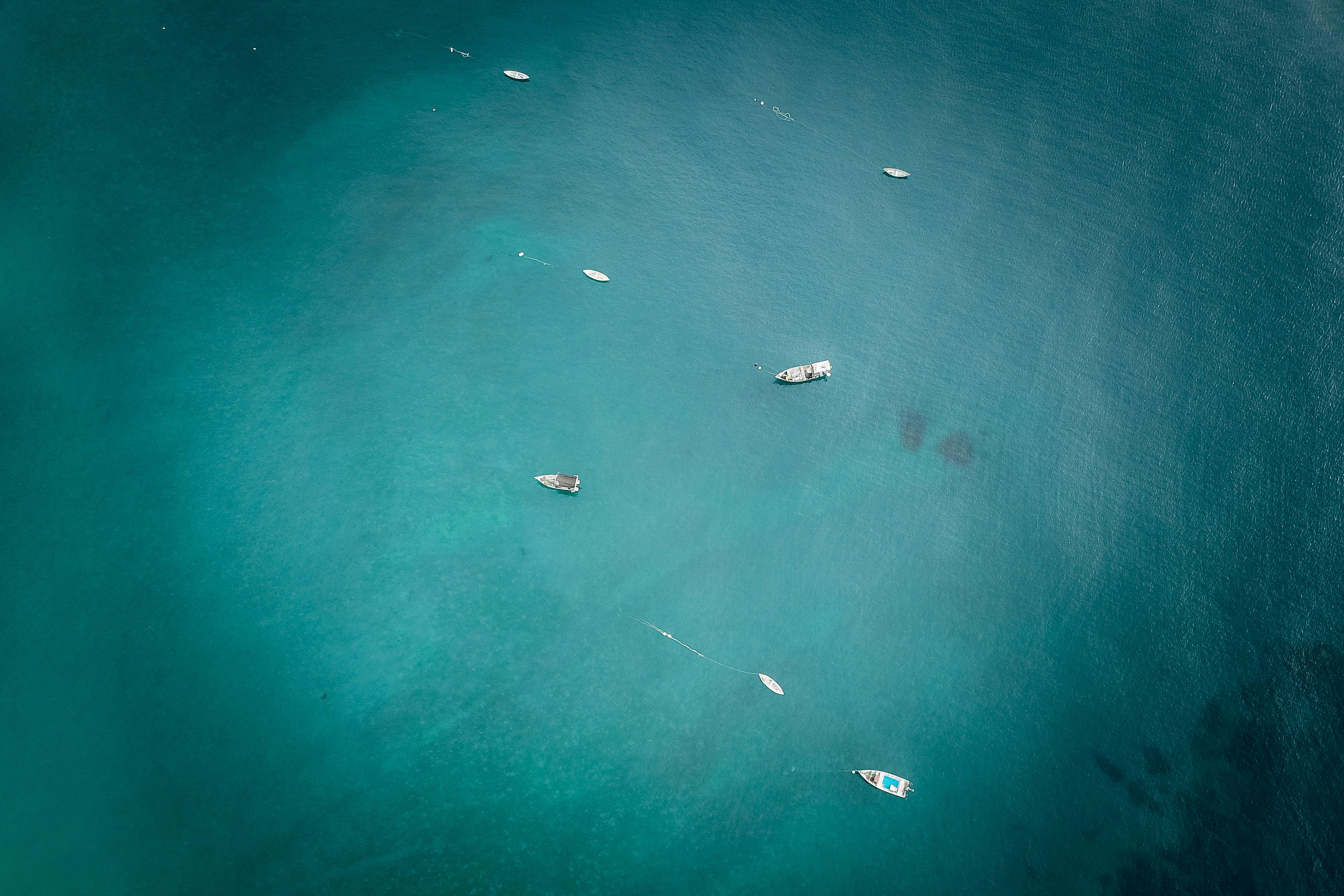 Boats on green sea near docks and trees · Free Stock Photo