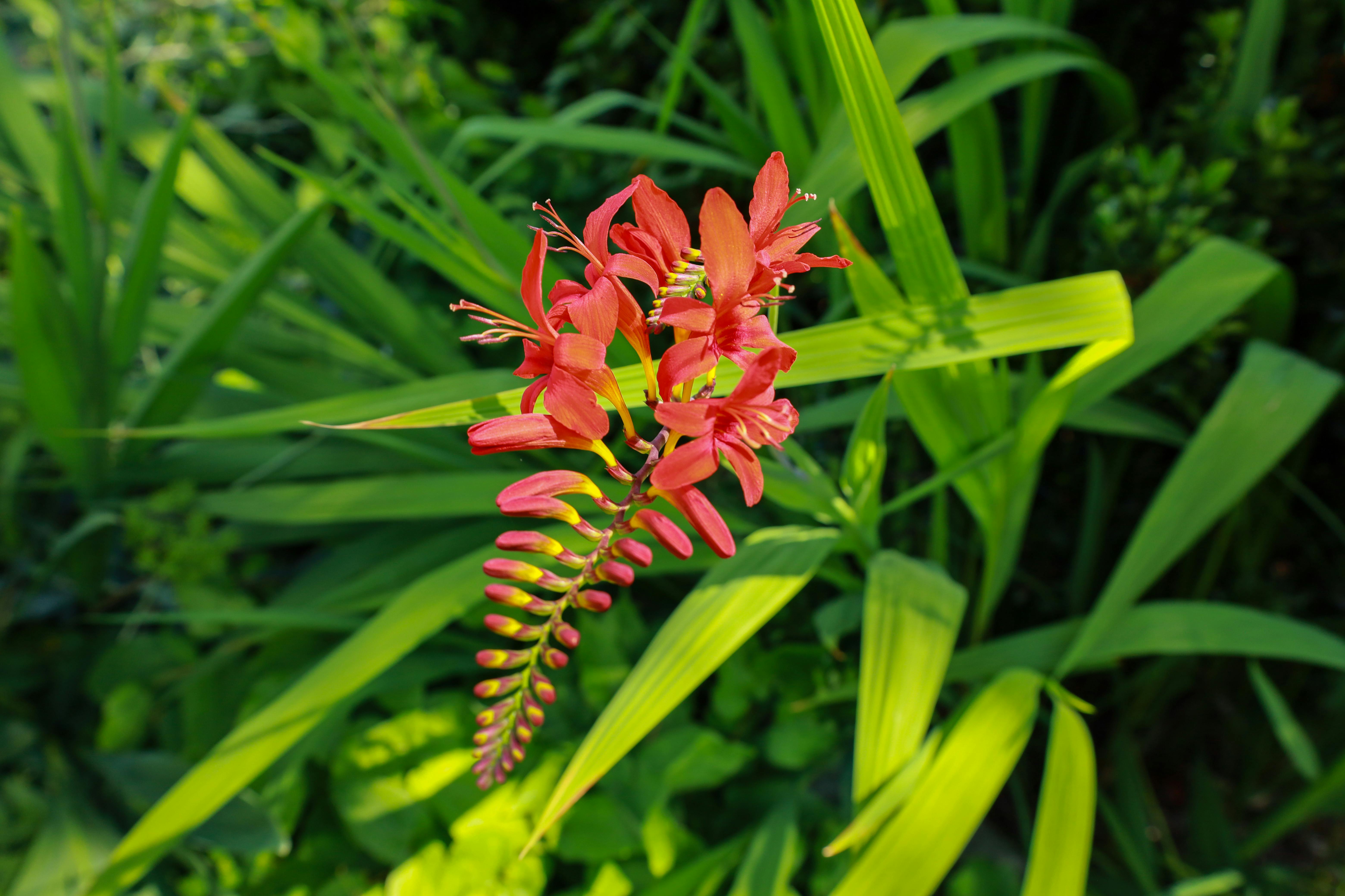 Plants and nature 10 Photos & Videos Collected by Miranda Lattimore