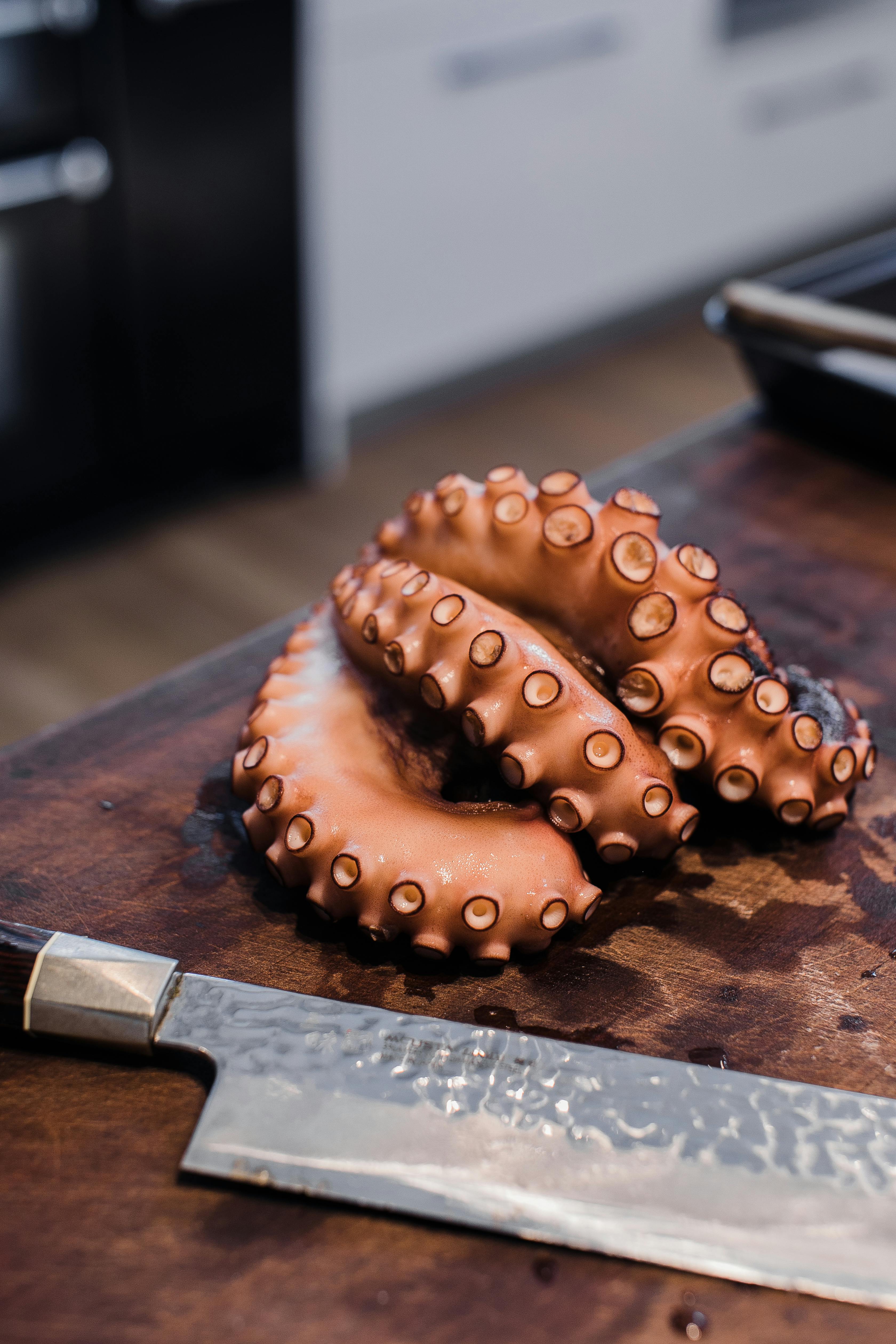Raw octopus tentacles near knife · Free Stock Photo