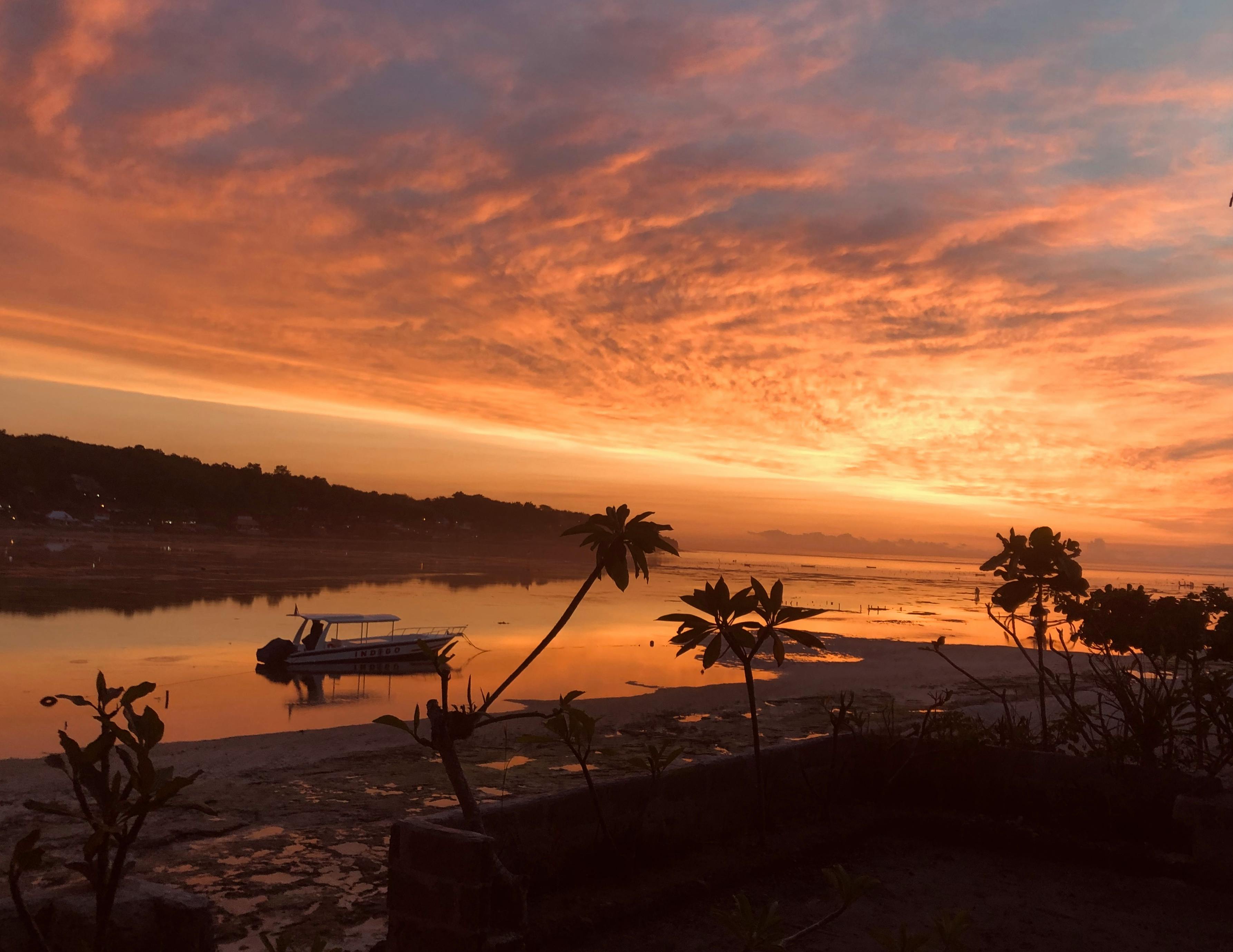 Sunset over Sea Bay and Palm Trees · Free Stock Photo