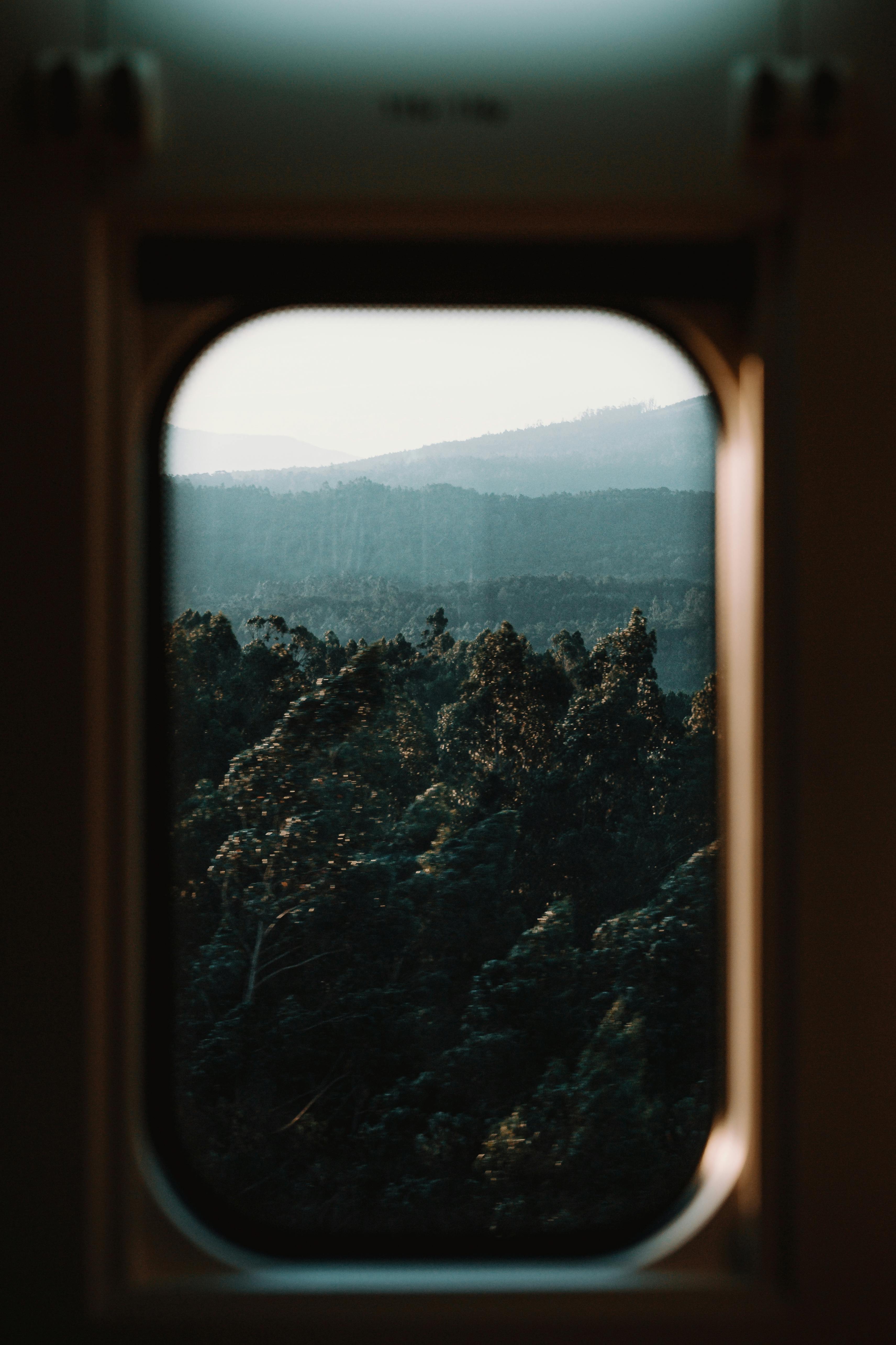 Through window view of green forest in mountains · Free Stock Photo