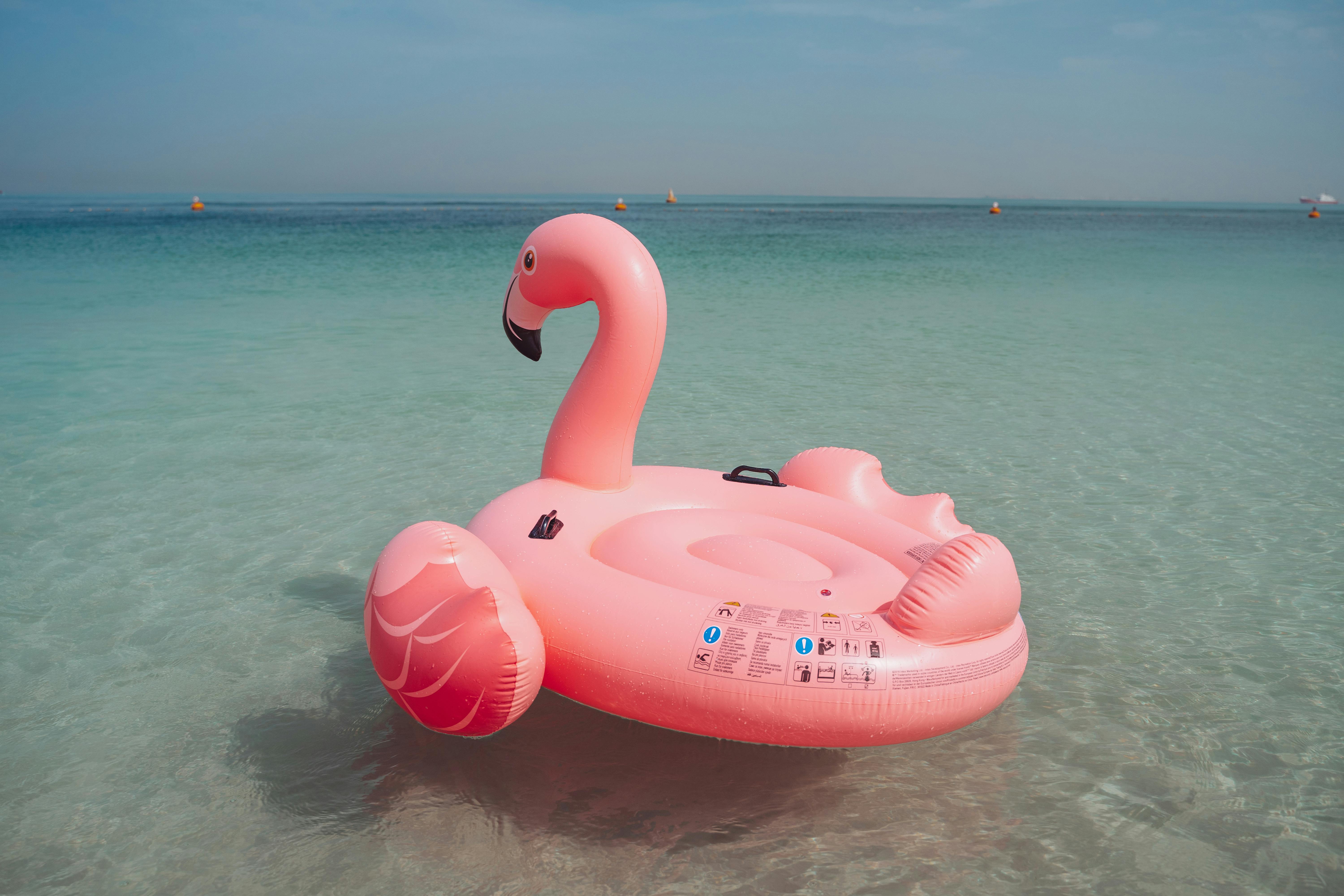Pink Floater on Sea · Free Stock Photo