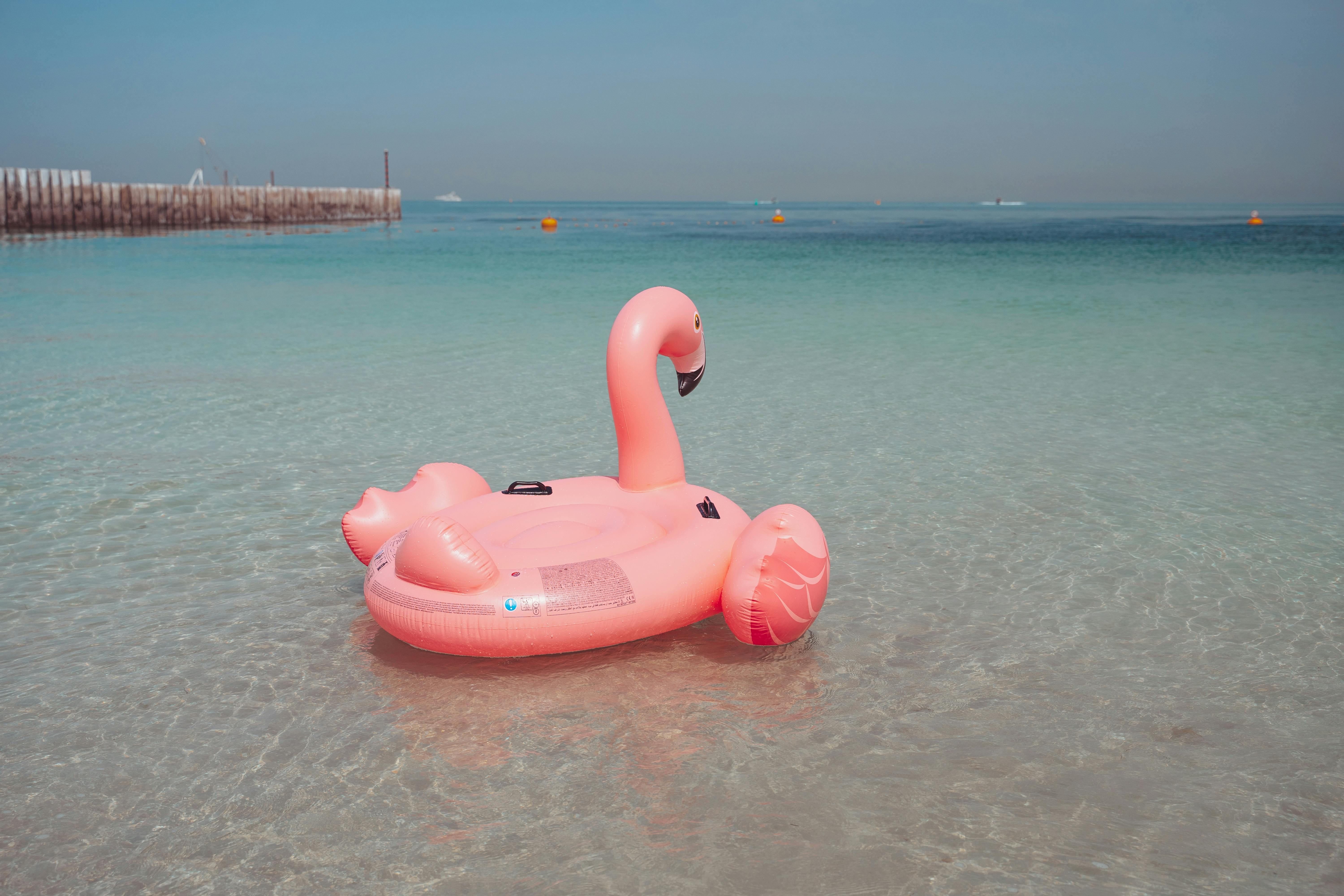 Pink Inflatable Flamingo on Body of Water · Free Stock Photo