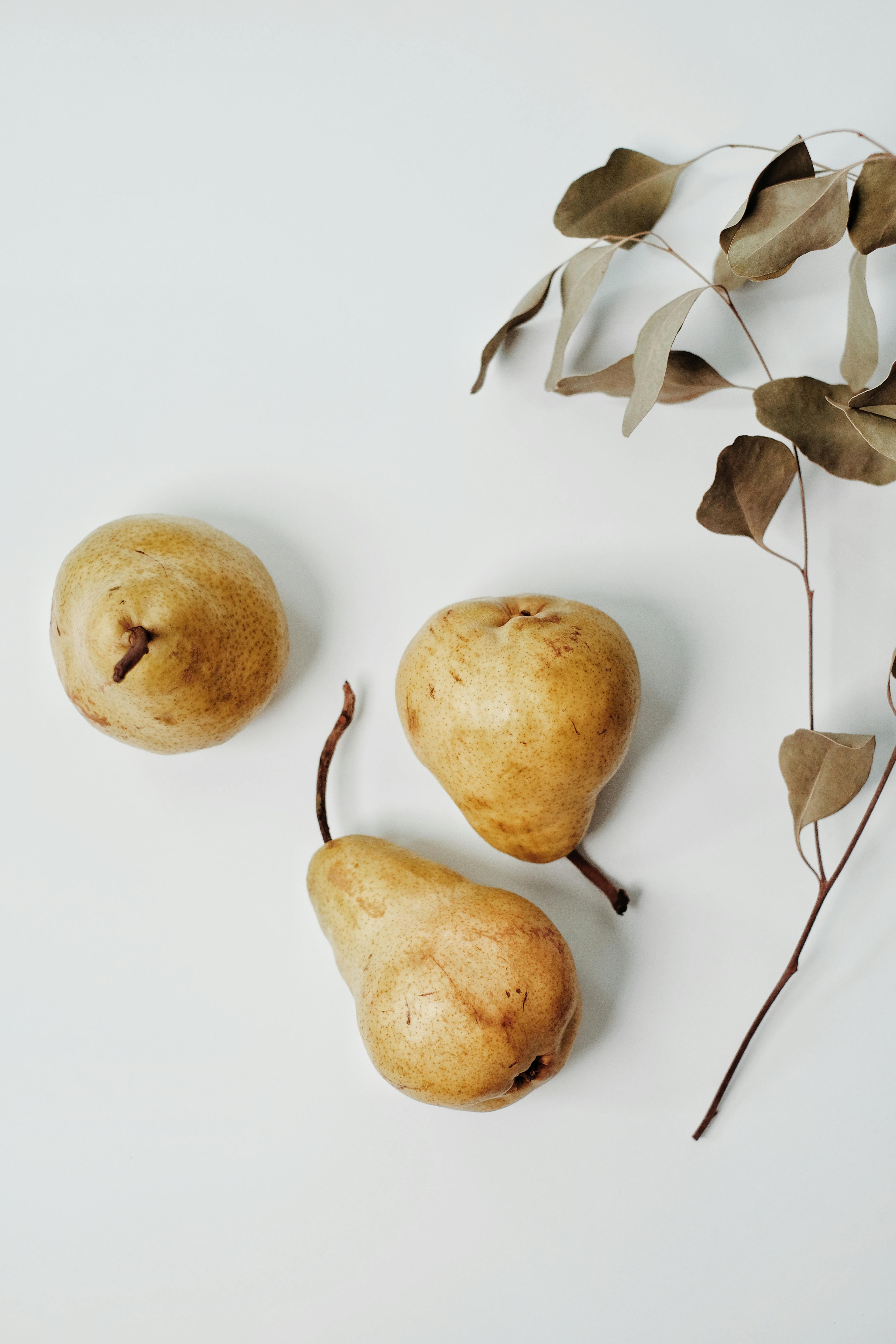 Photo of Three Pears · Free Stock Photo