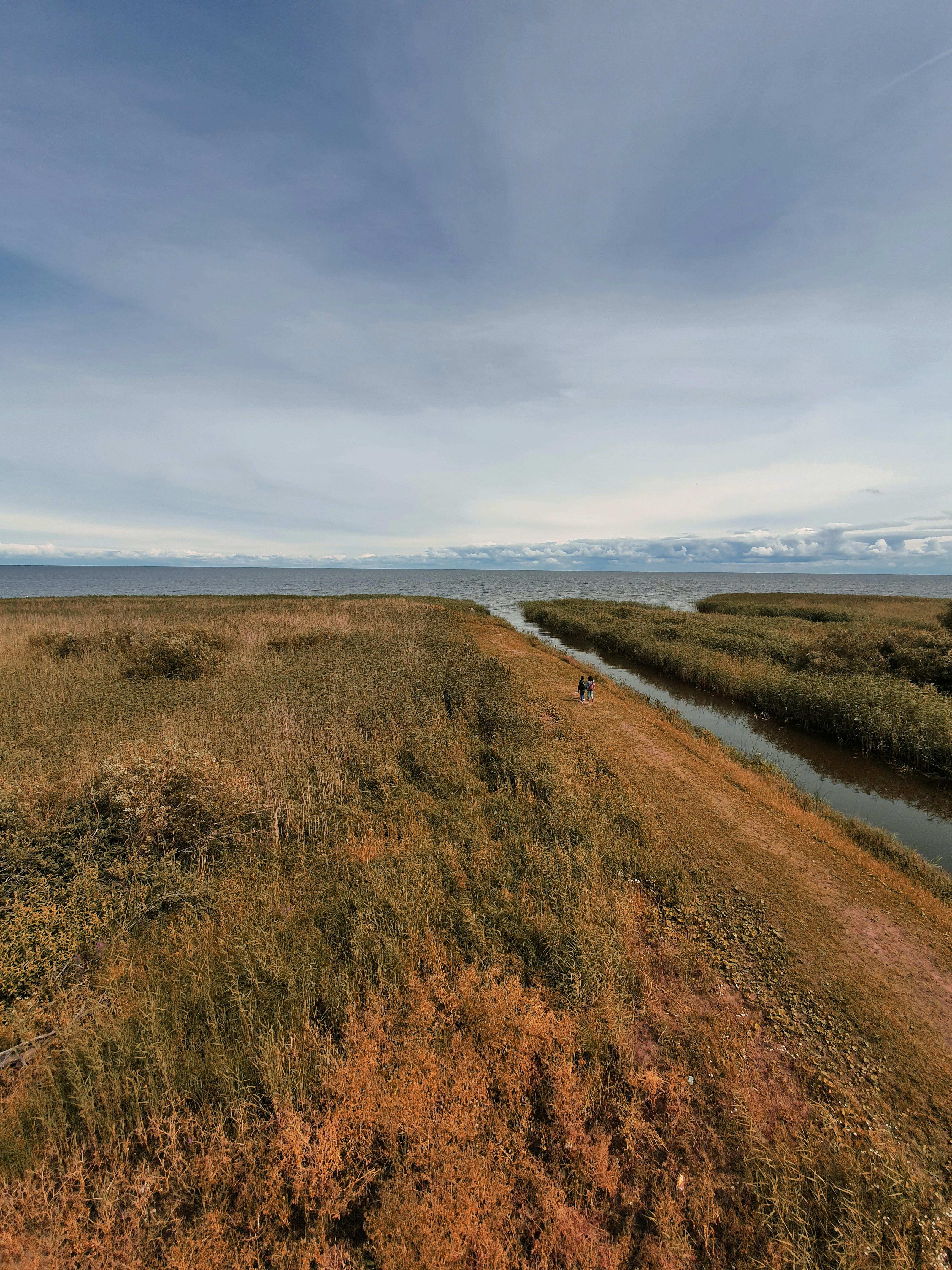 Ridal Photos, Download The BEST Free Ridal Stock Photos & HD Images