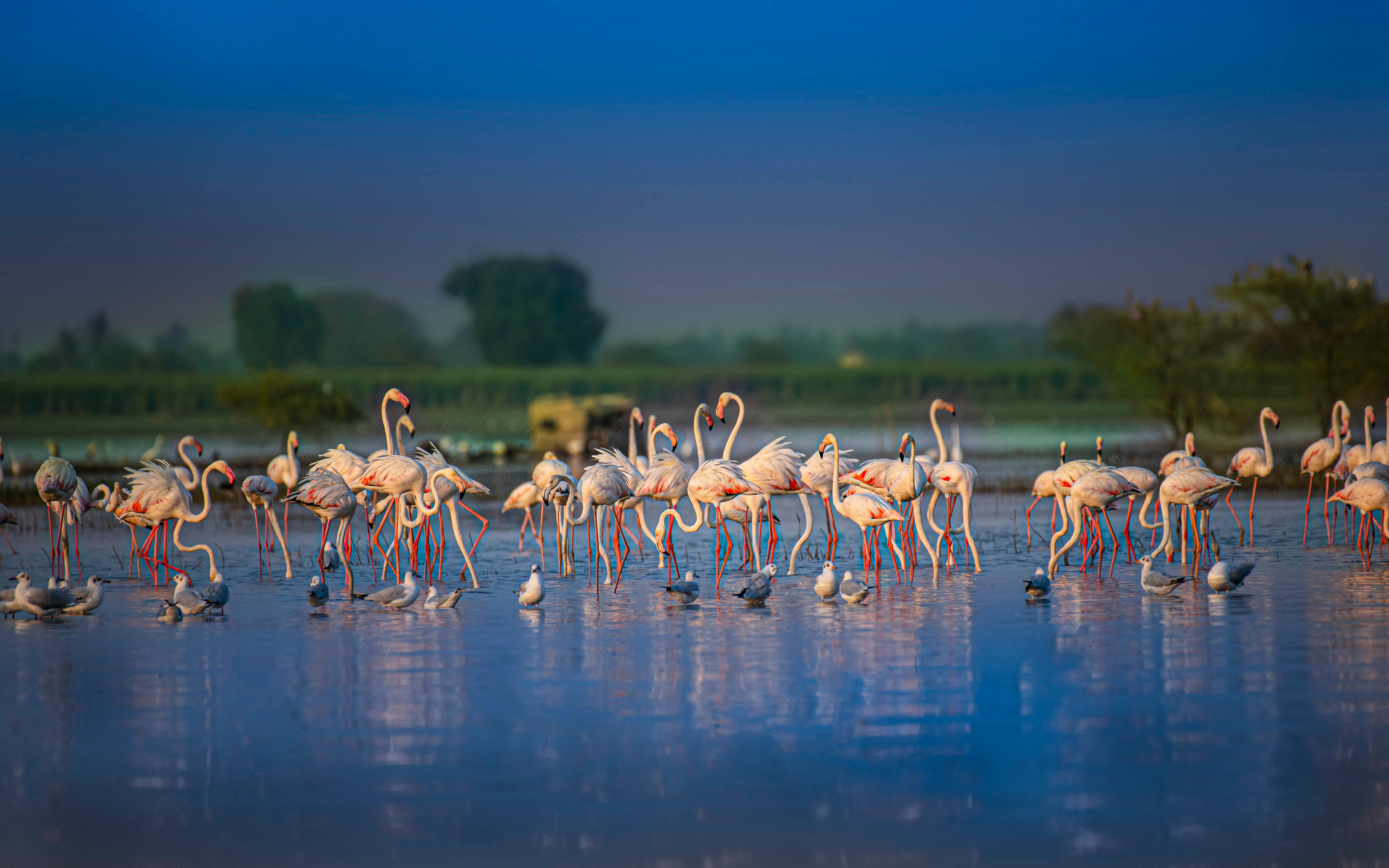 River Neck Photos, Download The BEST Free River Neck Stock Photos & HD ...