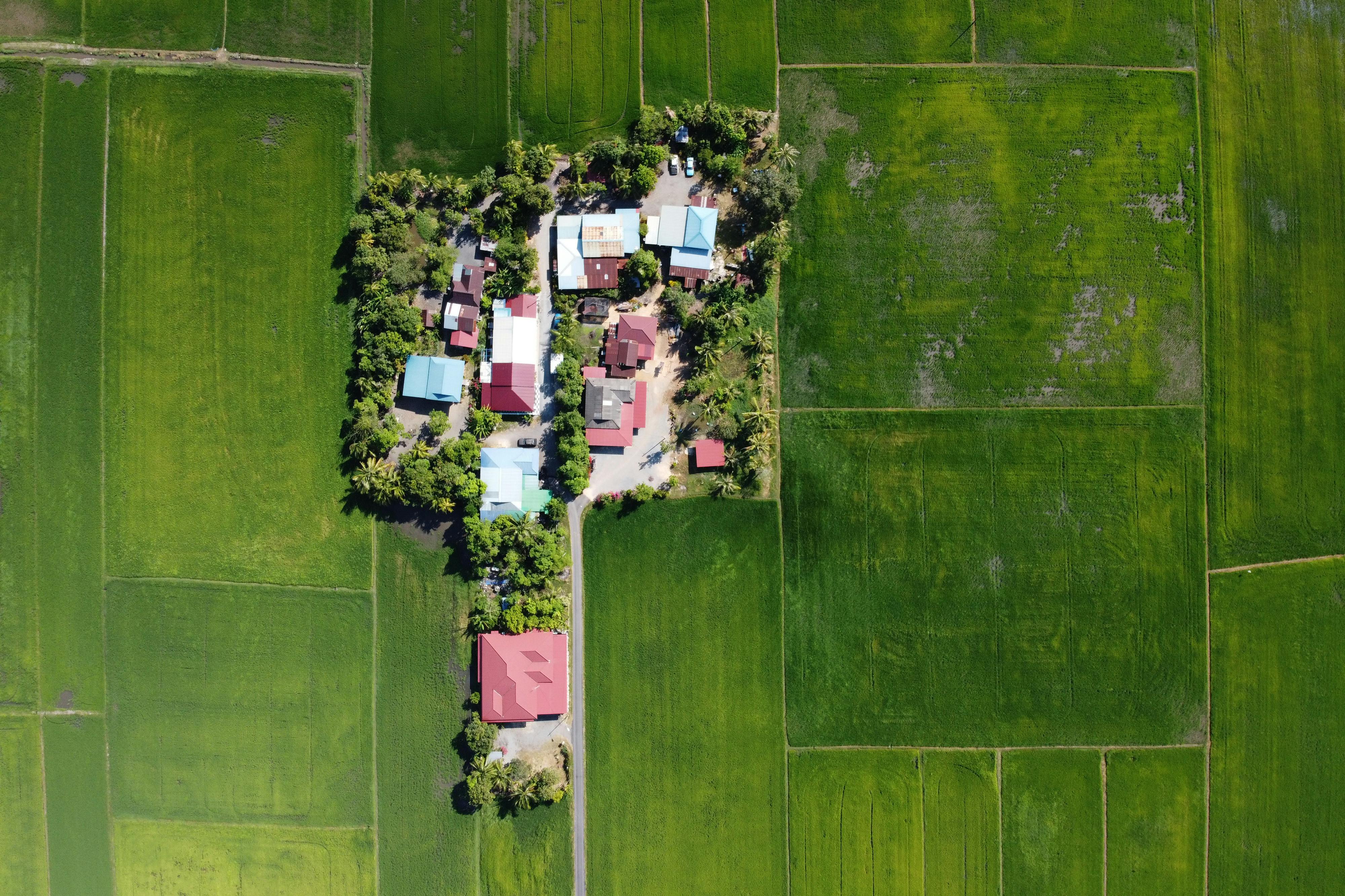 Small village in green field on sunny day · Free Stock Photo