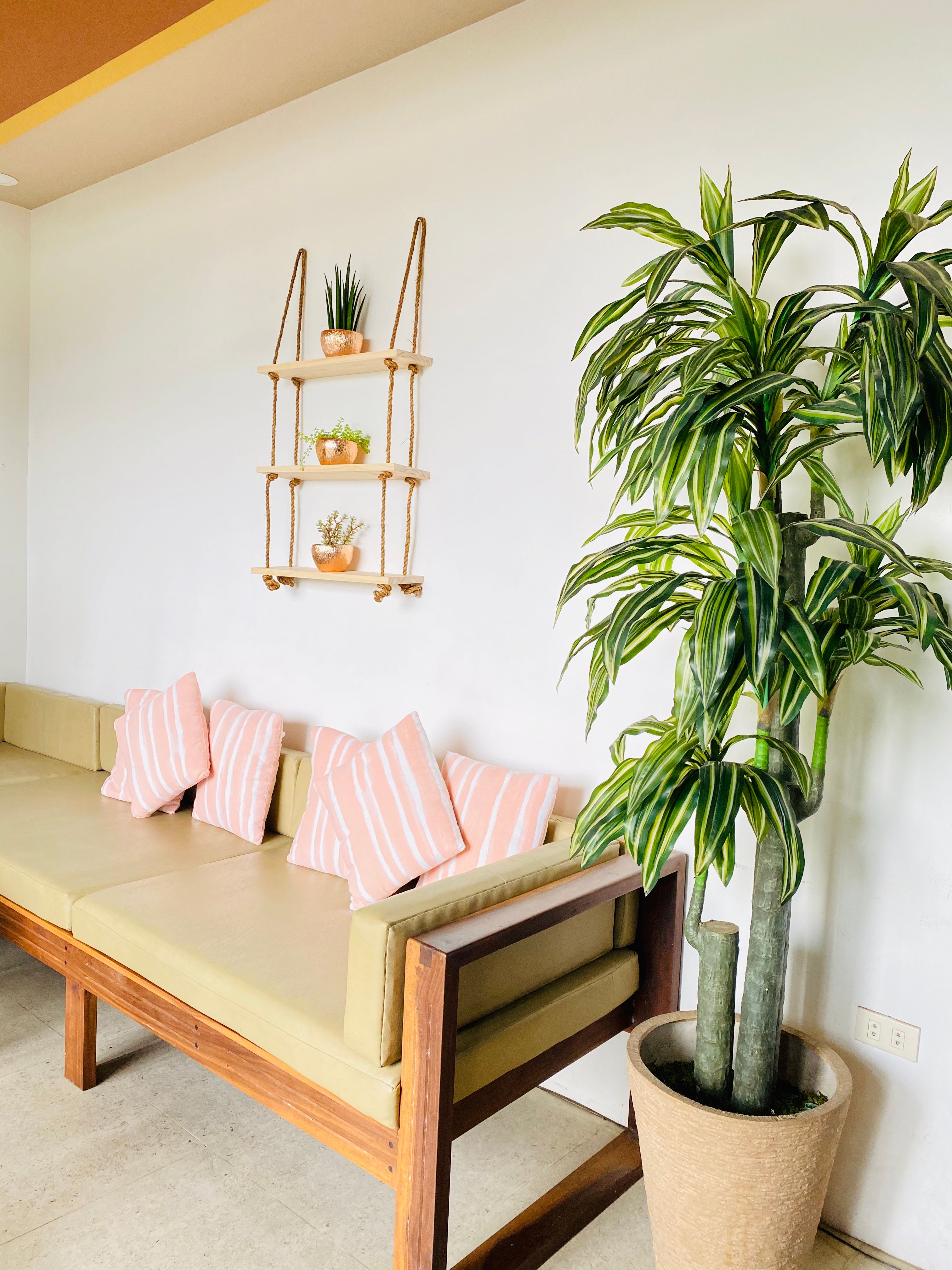 Plant near Couch · Free Stock Photo