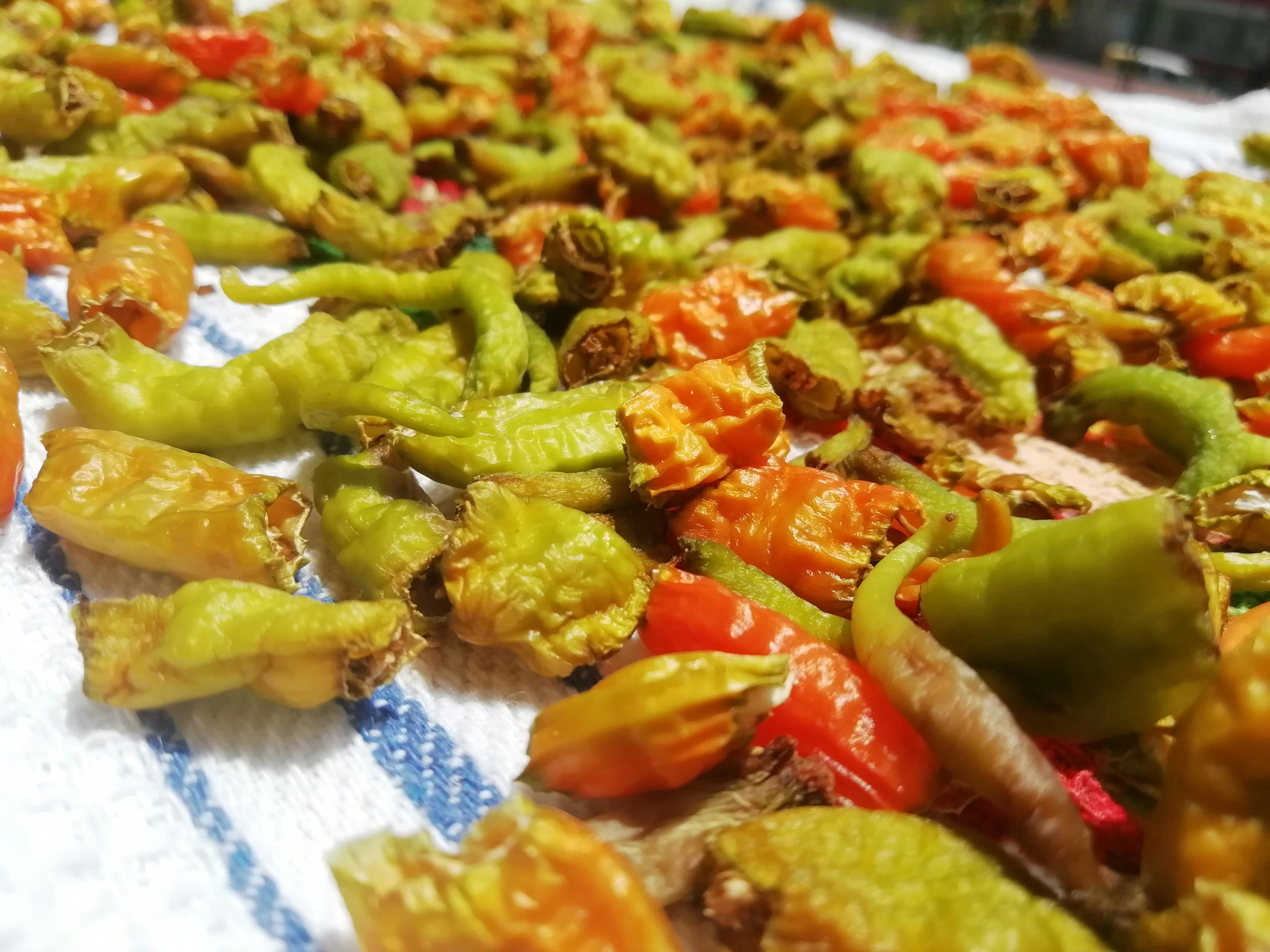 Free stock photo from wuid · Pexels