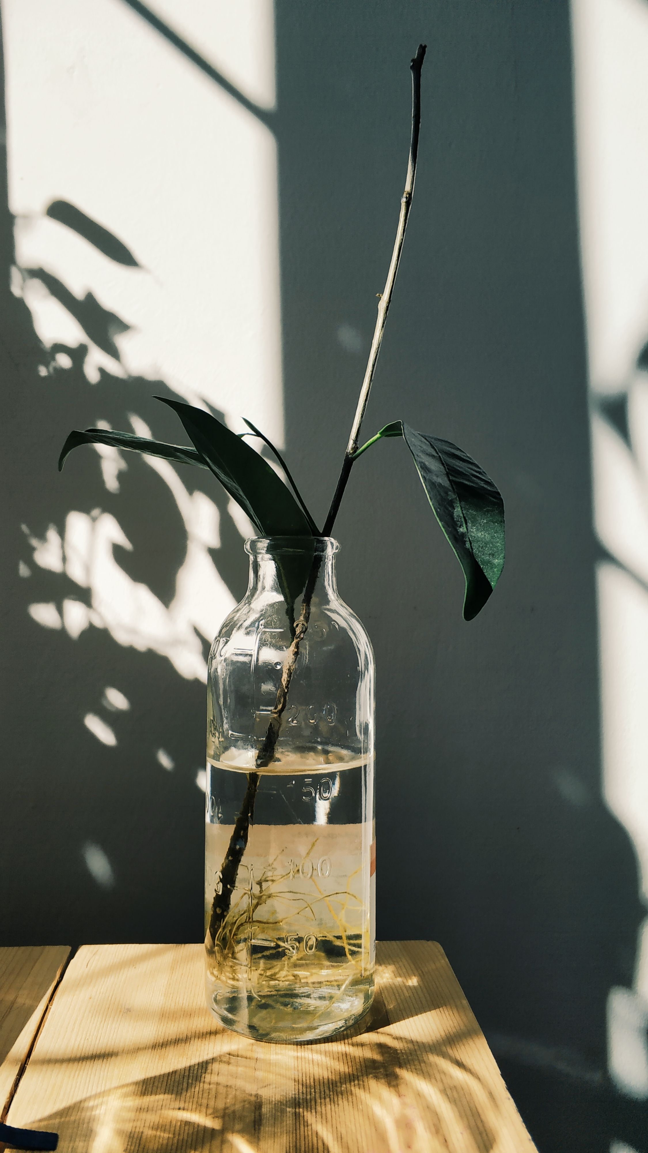 Water Bottle Pot Photos, Download The BEST Free Water Bottle Pot Stock ...