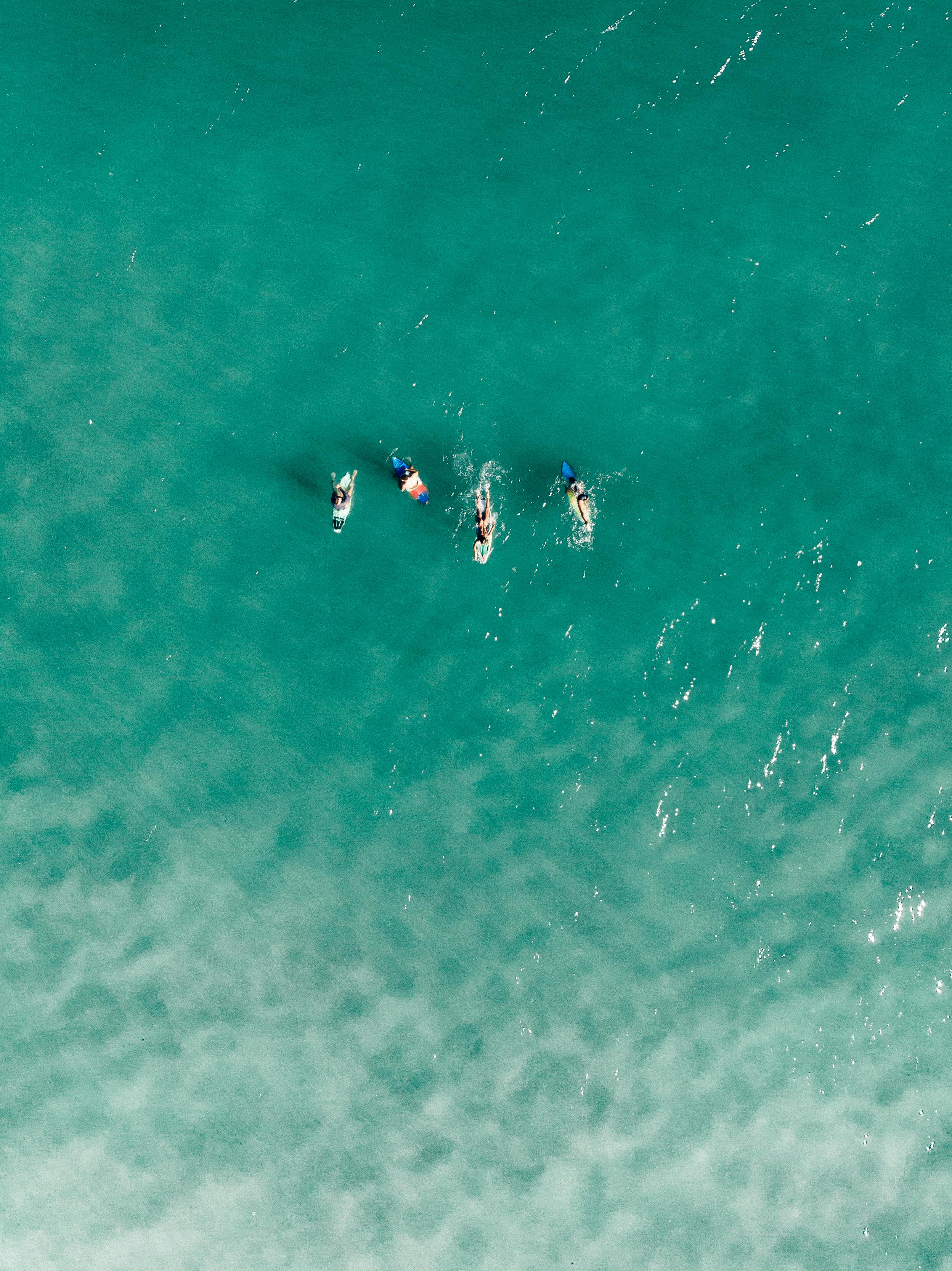 People Surfing on Sea · Free Stock Photo