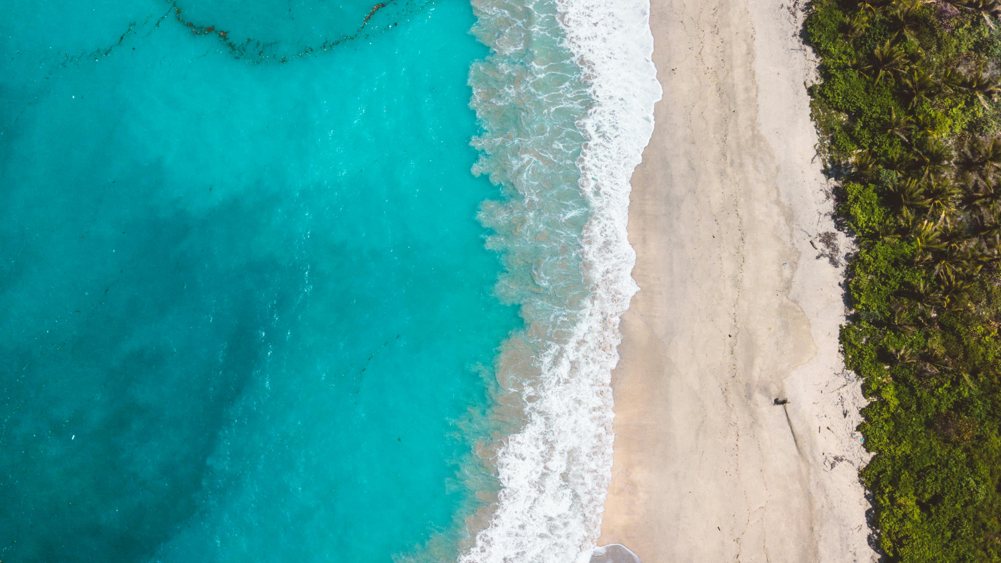 Aerial View of Seashore · Free Stock Photo