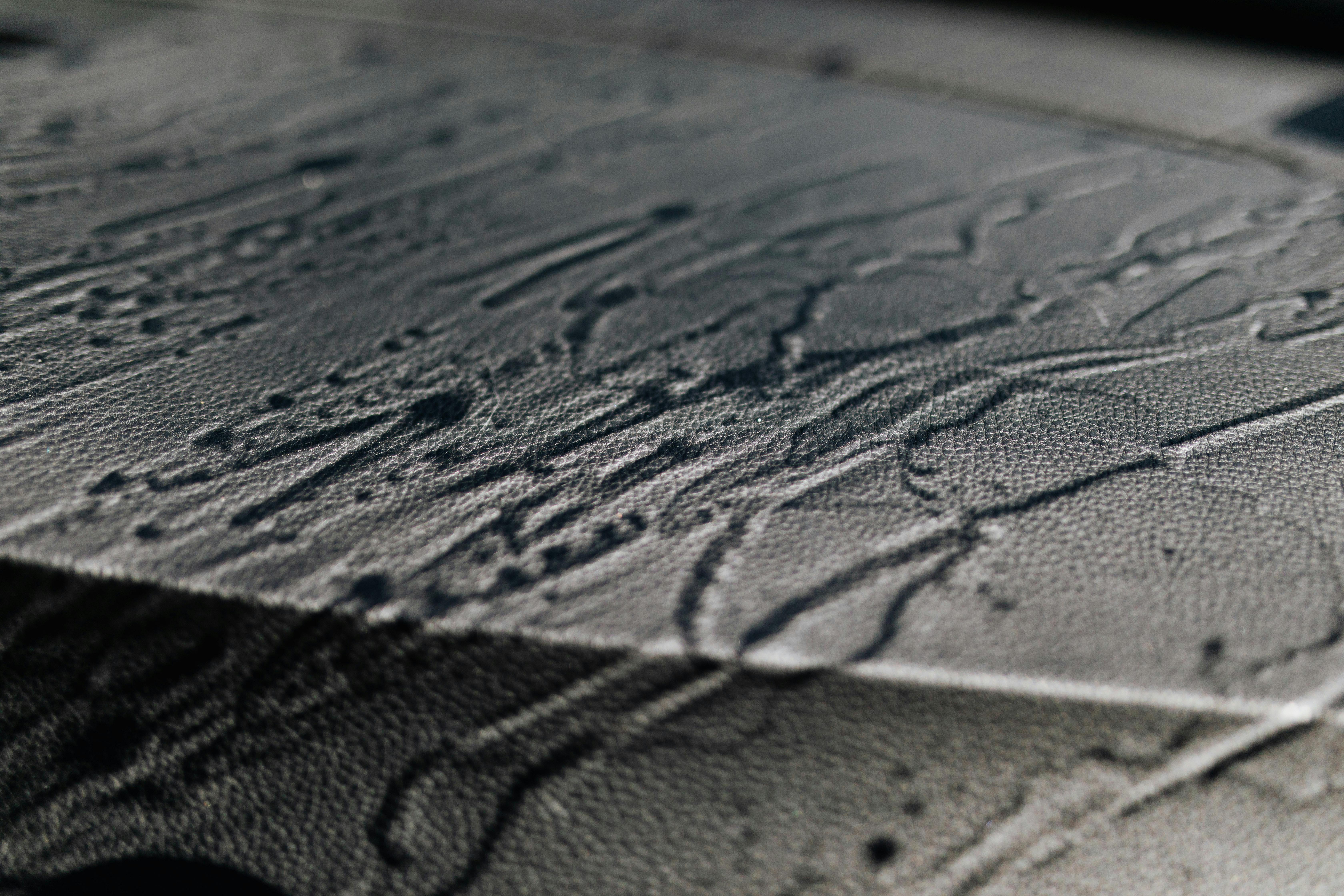 High Quality Pfp Photos, Download The BEST Free High Quality Pfp Stock ...