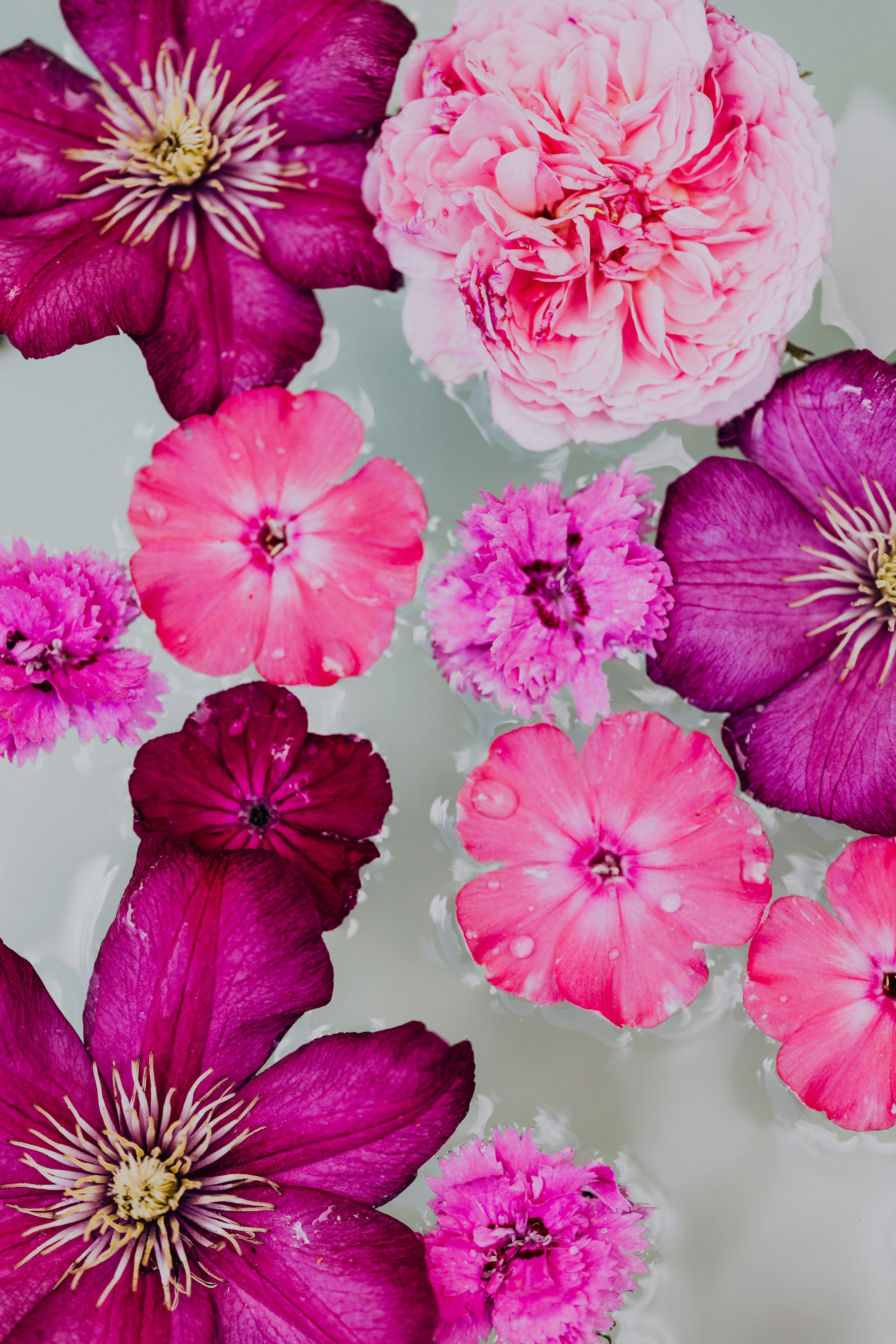 Pink Flowers Laptop Wallpaper Photos, Download The BEST Free Pink ...