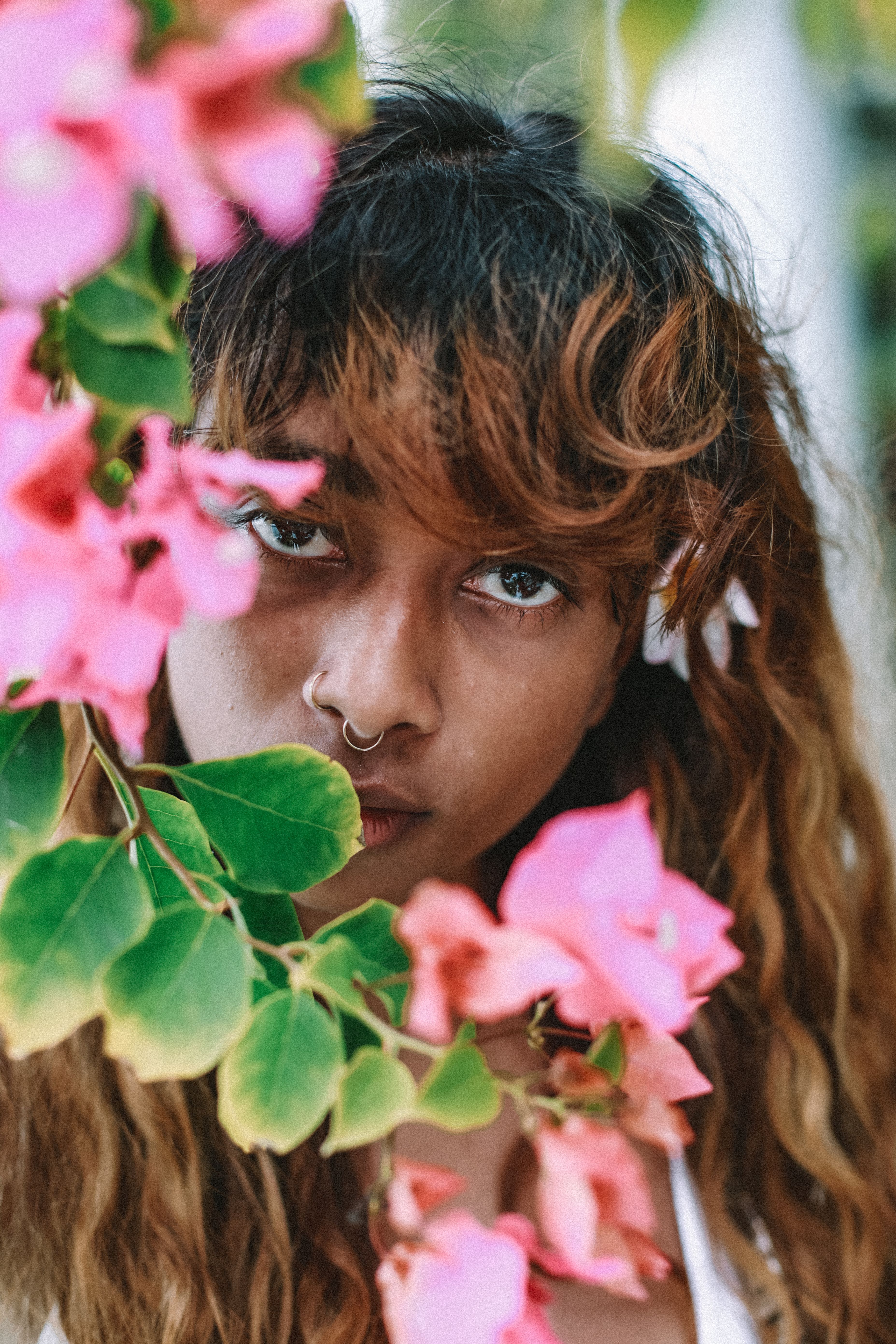 Portrait of Woman Hiding Behind Pink Flowers · Free Stock Photo