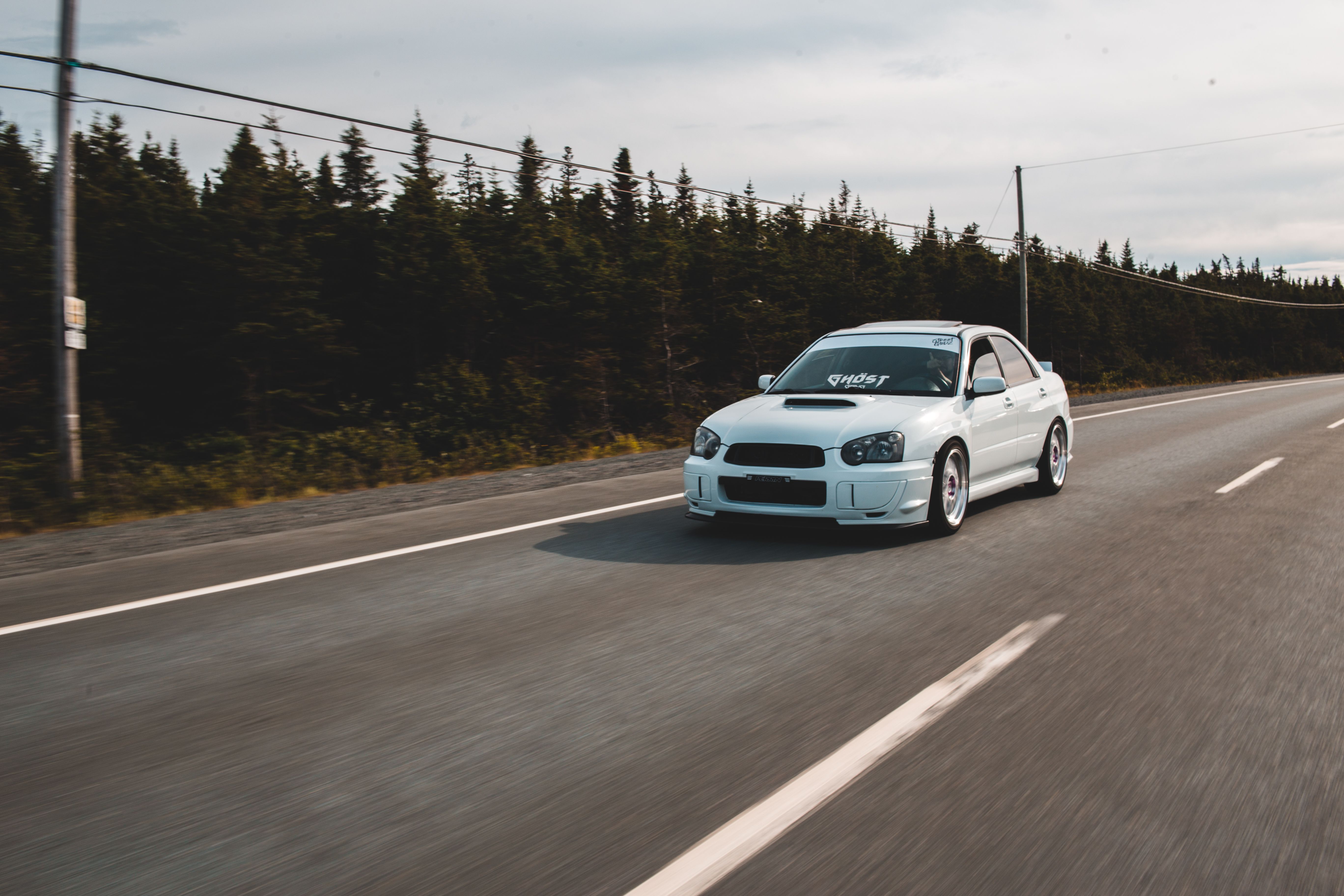 Car driving on road through tree arch · Free Stock Photo