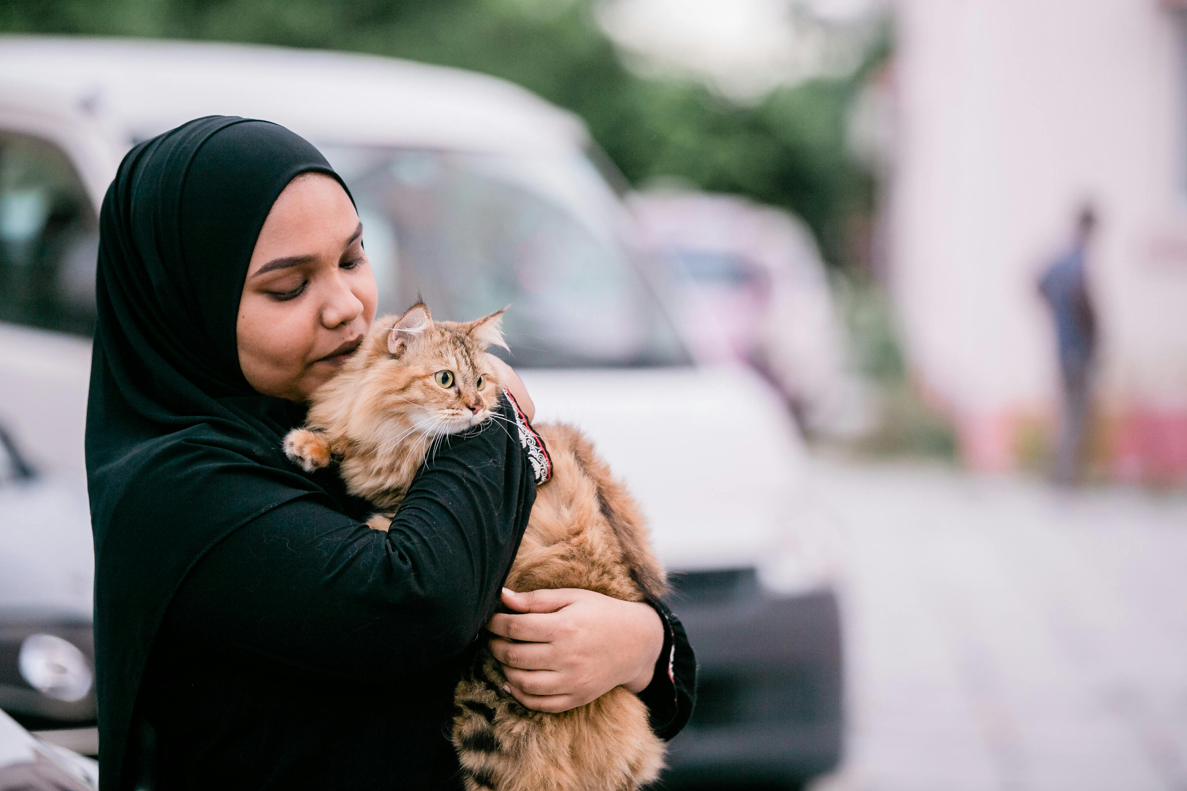 Muslim Cat Photos, Download The BEST Free Muslim Cat Stock Photos & HD ...