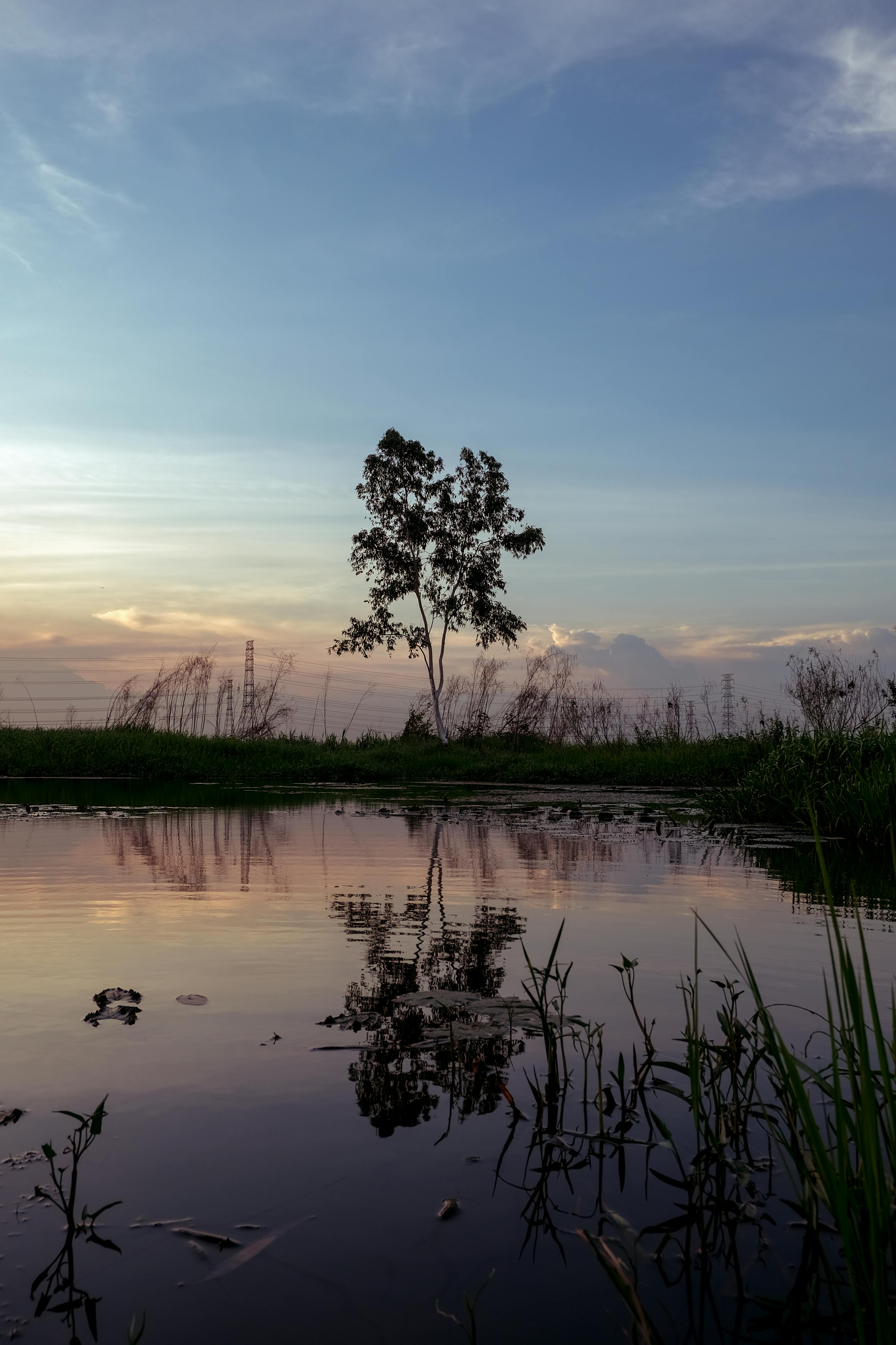 Dusk at Countryside Lake in Summer · Free Stock Photo