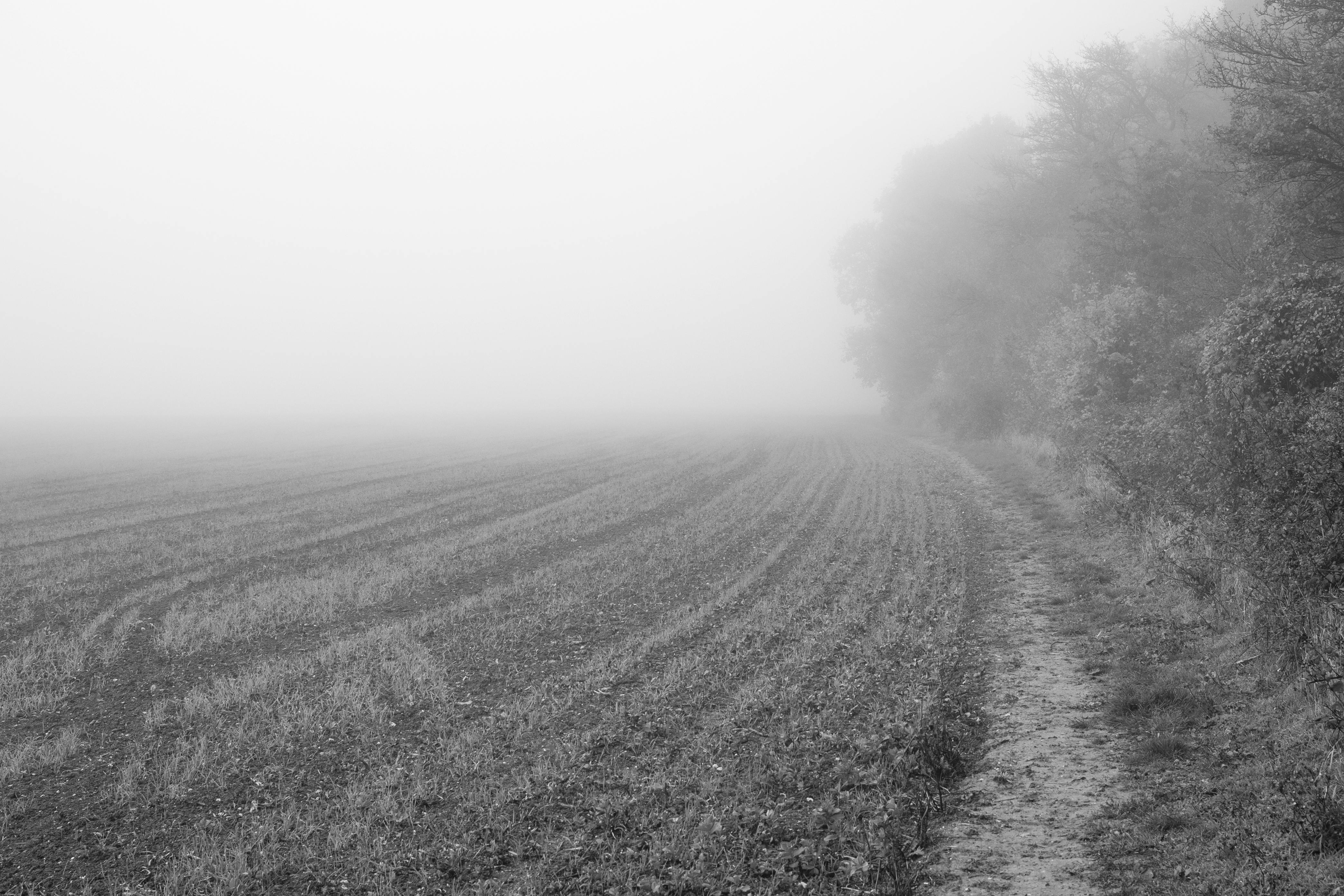 Grayscale Photograph of a Field with Fog · Free Stock Photo