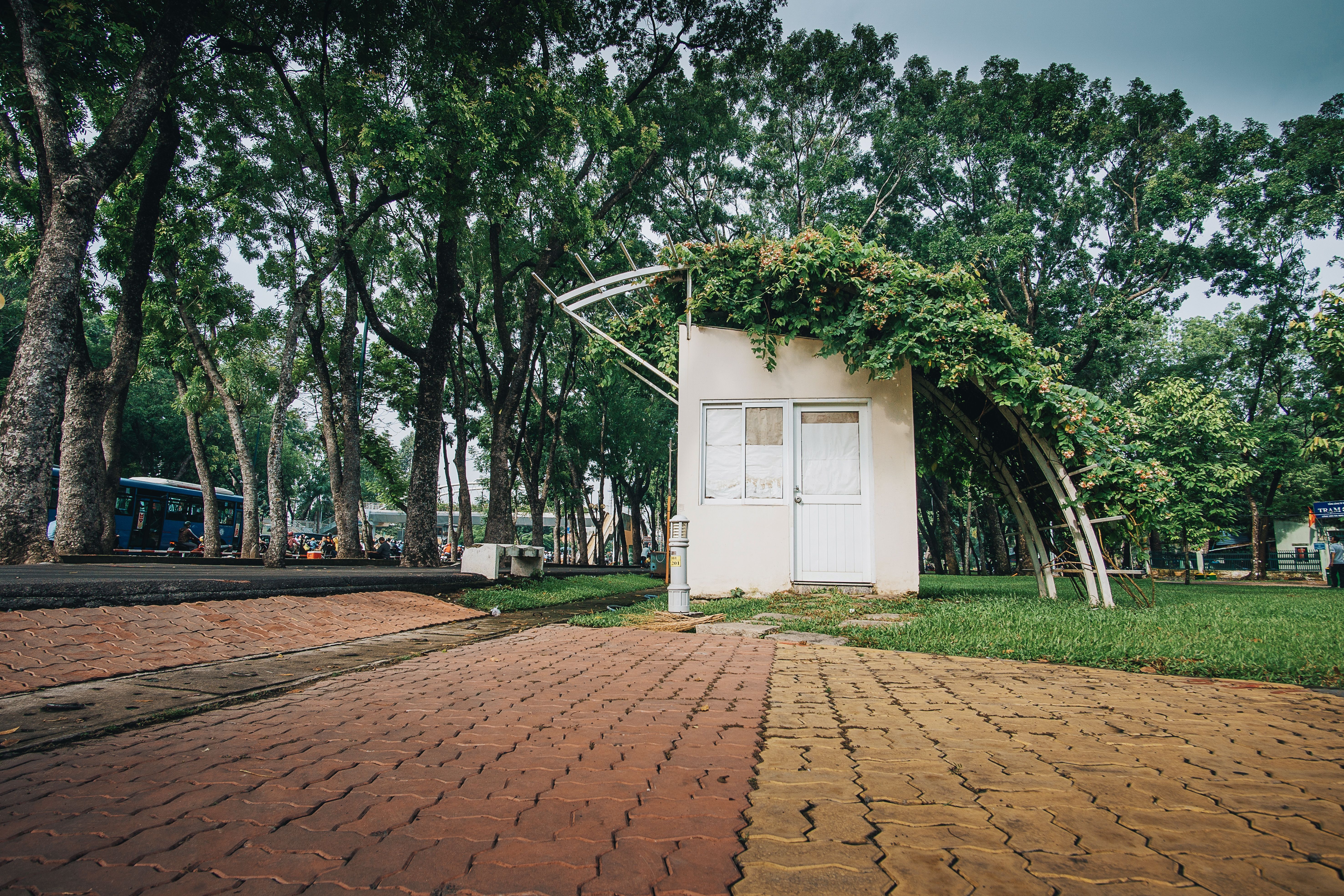 Outpost Near Tall Trees · Free Stock Photo