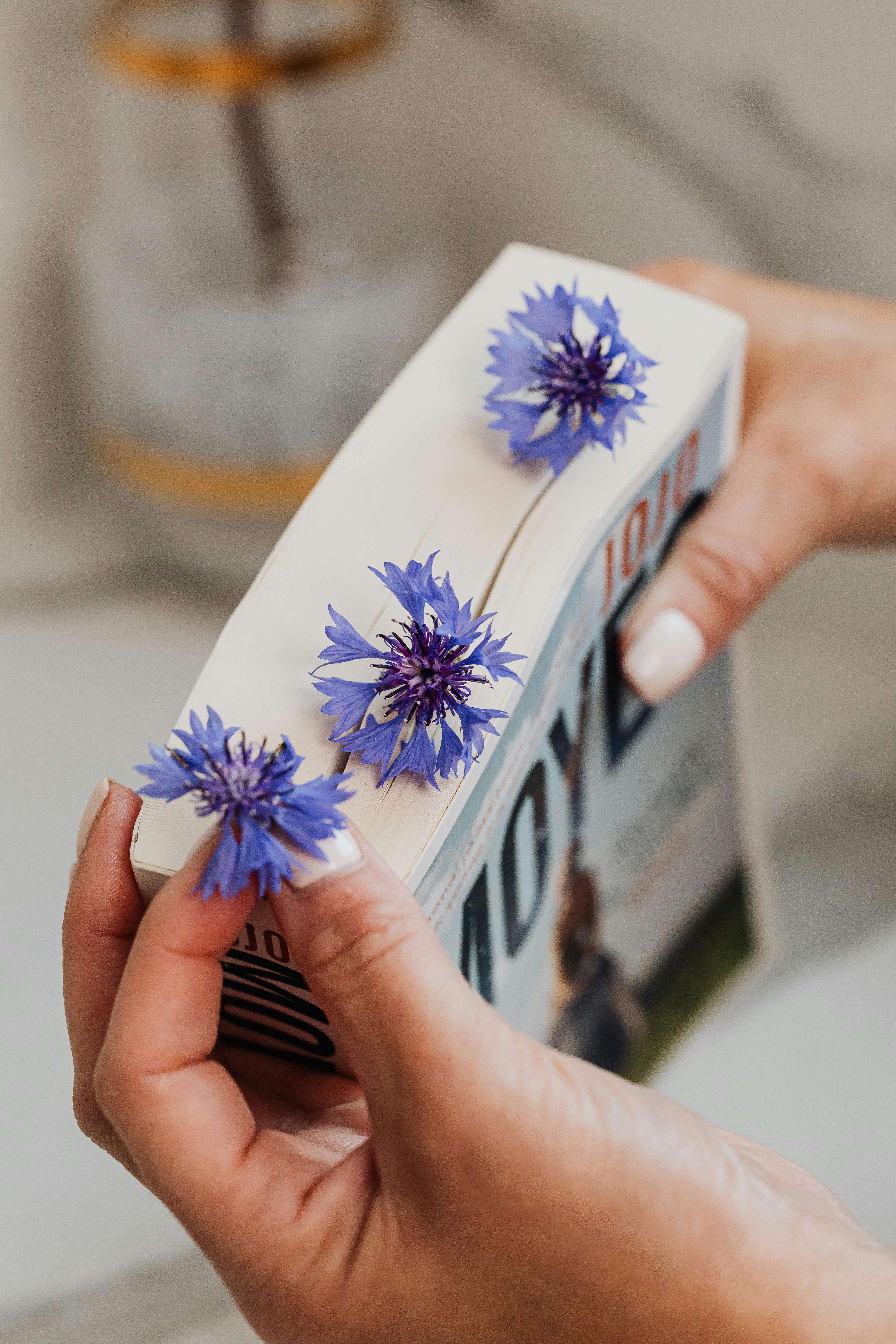 Blue Flower Book Aesthetic Photos, Download The BEST Free Blue Flower ...