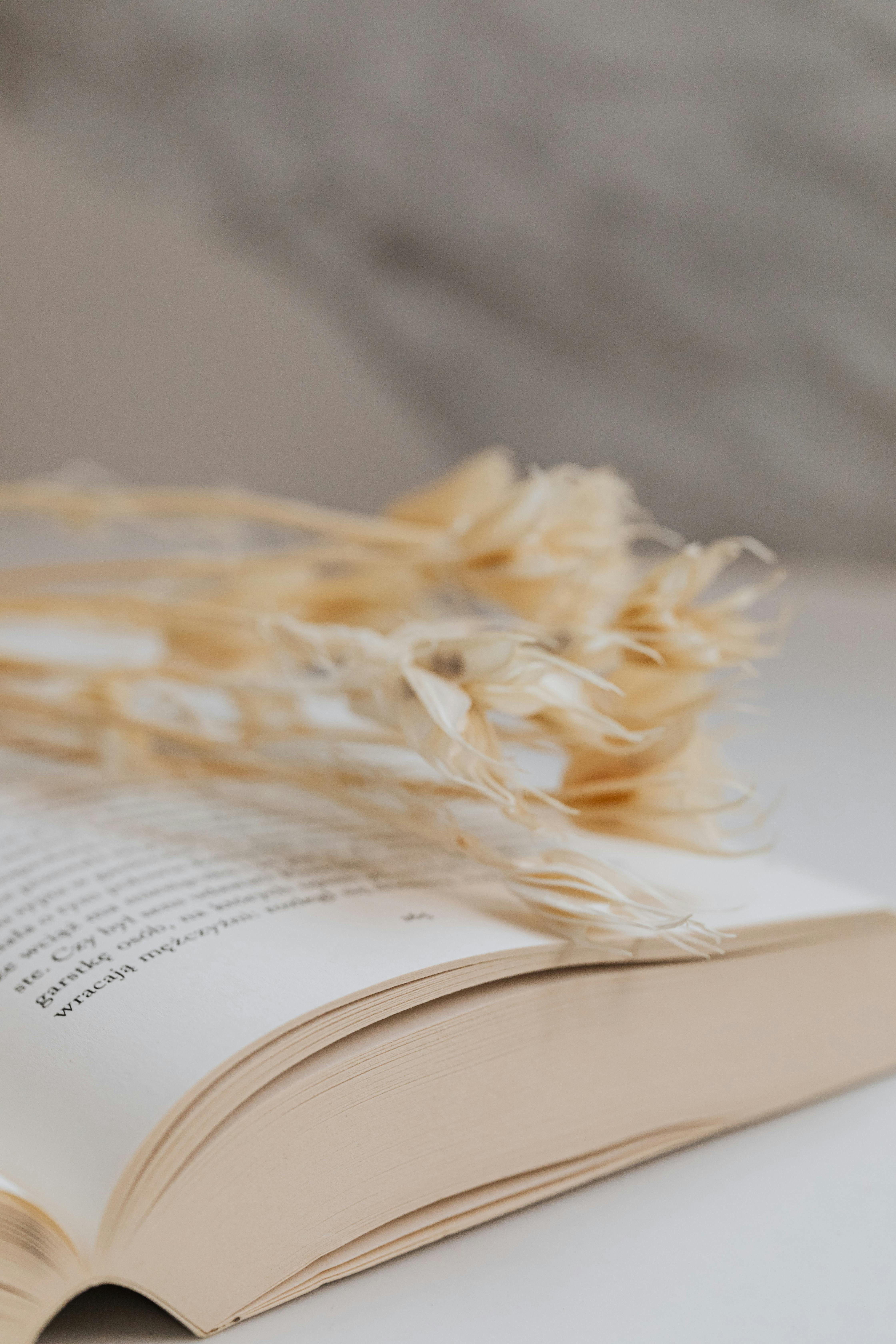 Vintage Book Page Background Photos, Download The BEST Free Vintage ...