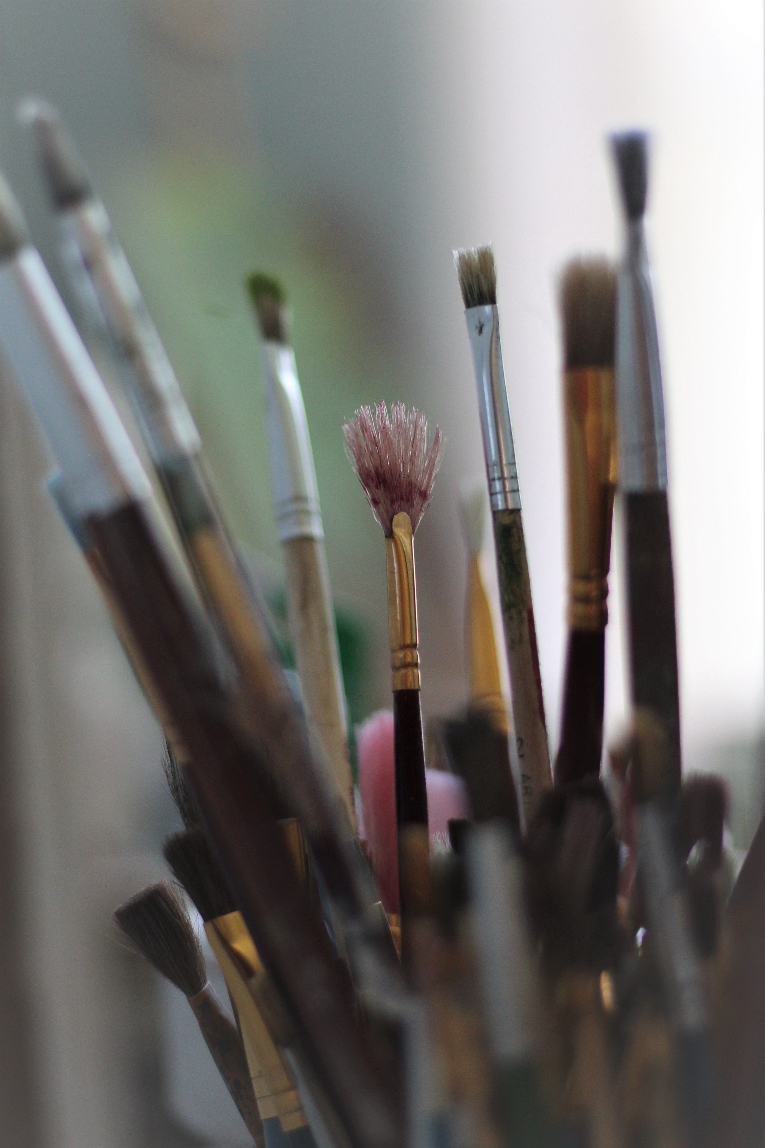 Close Up Photo of Person Holding Paintbrushes · Free Stock Photo
