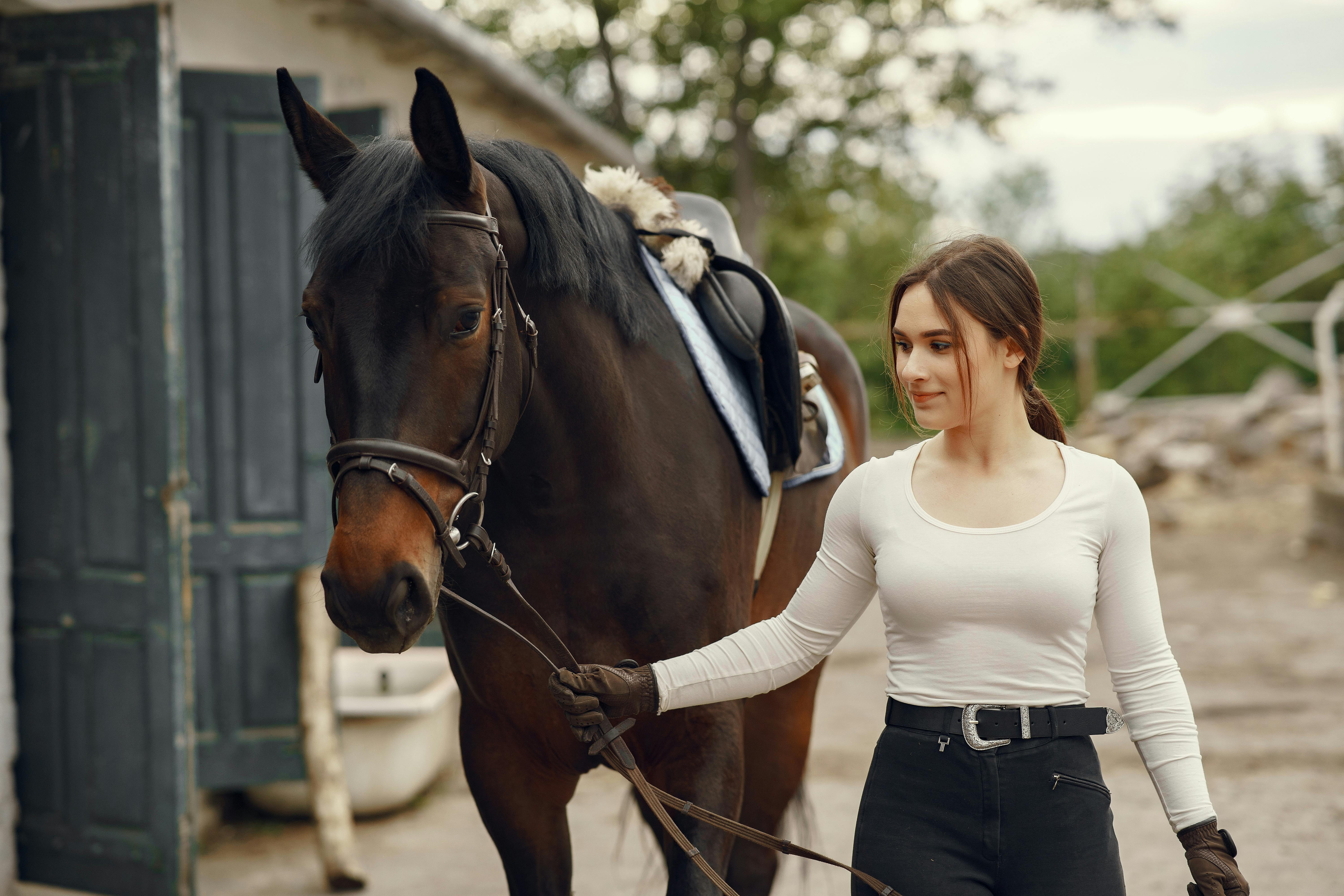 A Young Woman Detaching the Strap of Bridle on a Horse's Head · Free ...