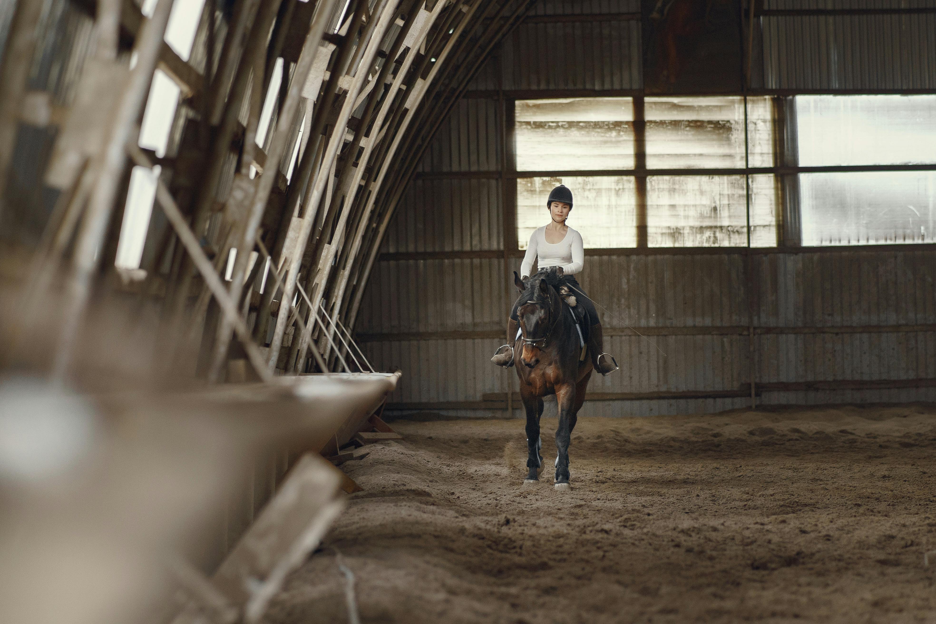 Woman Riding Horse in Stable · Free Stock Photo