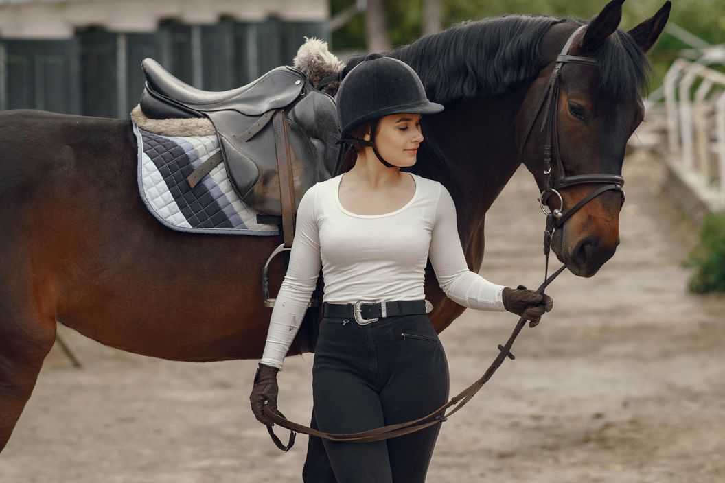 Training Reining Horses: A Simple Guide from Start to Finish
