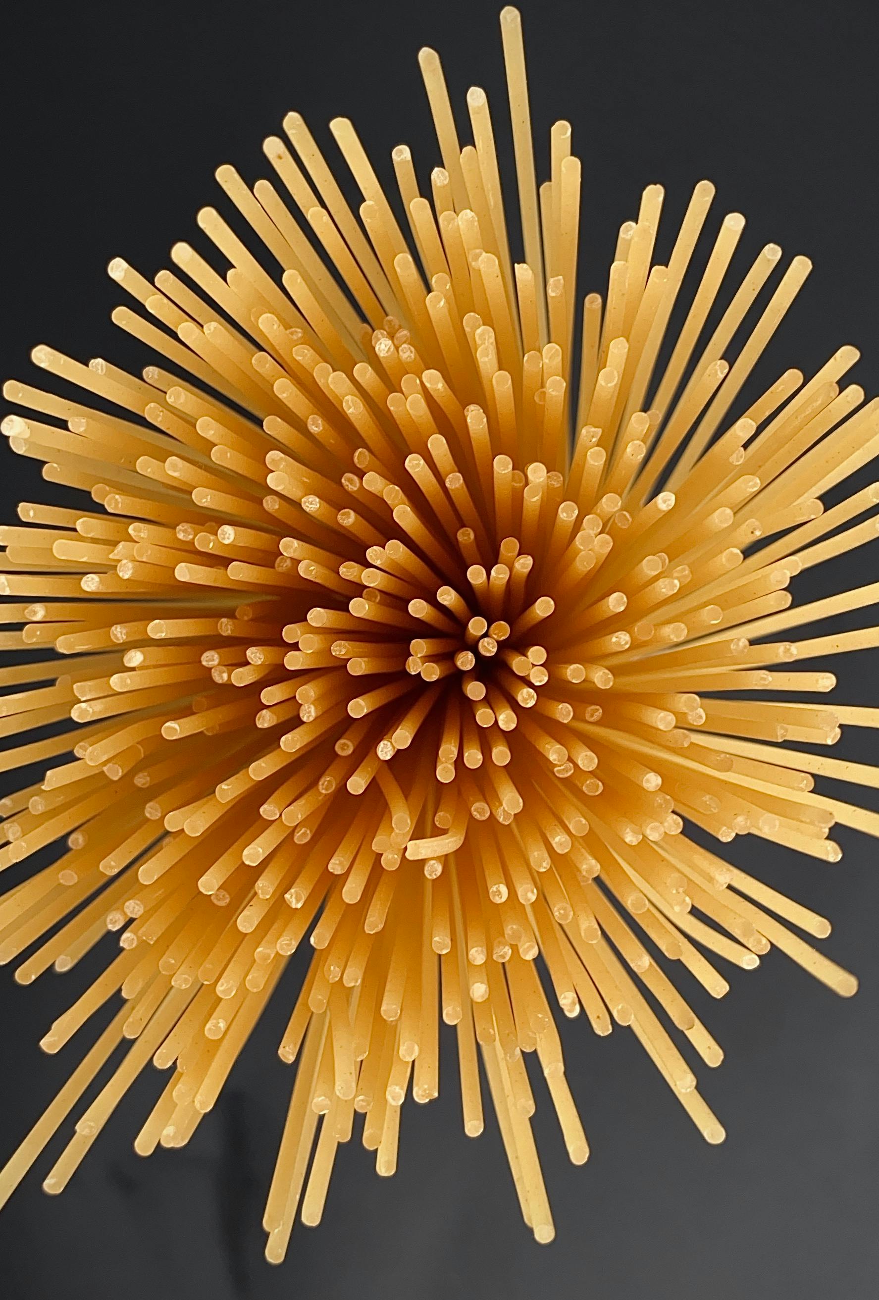 Bunch of raw wheat spaghetti on gray background · Free Stock Photo