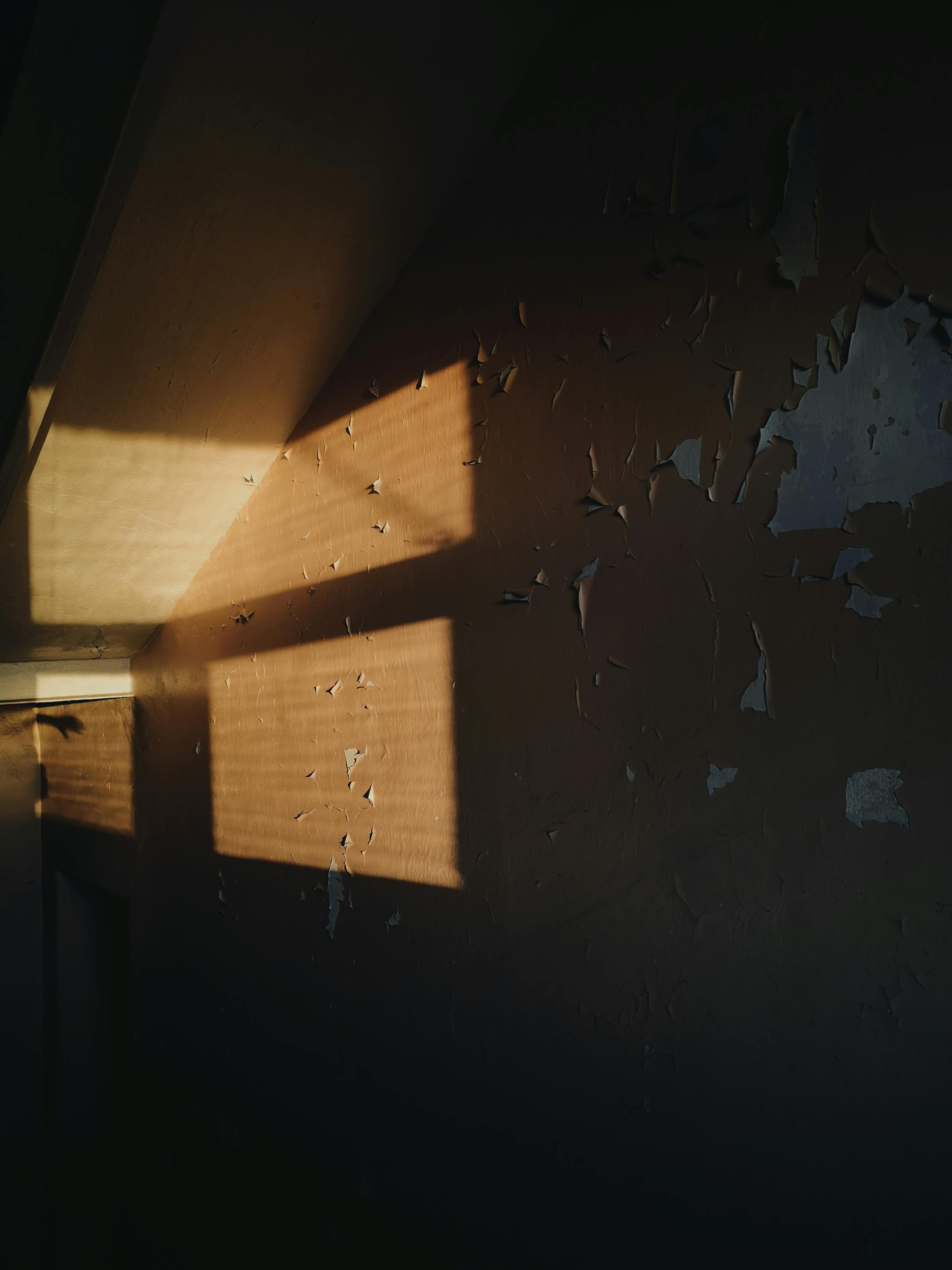 Scratches Photos, Download The BEST Free Scratches Stock Photos & HD Images