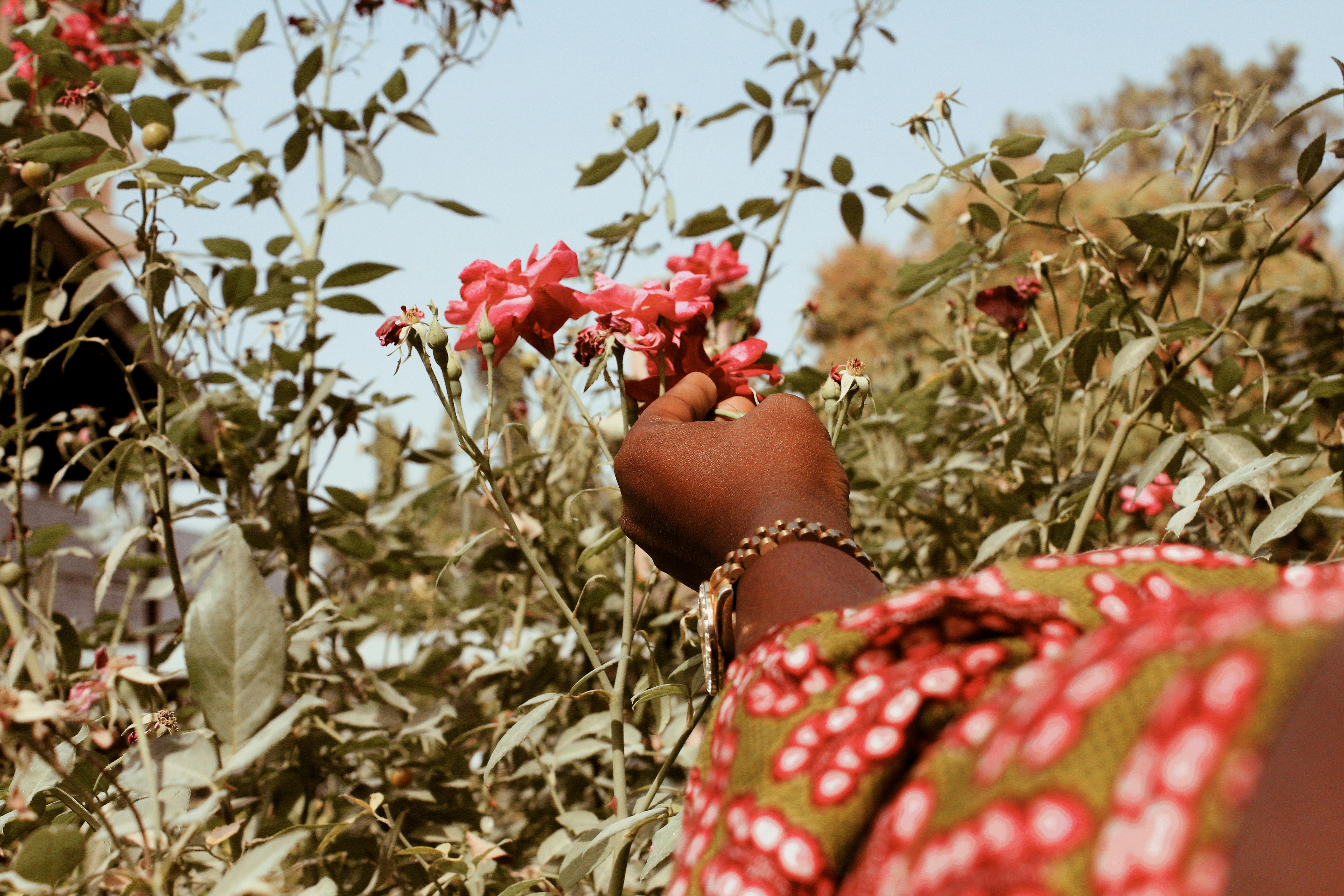 People Reach Photos, Download The BEST Free People Reach Stock Photos ...