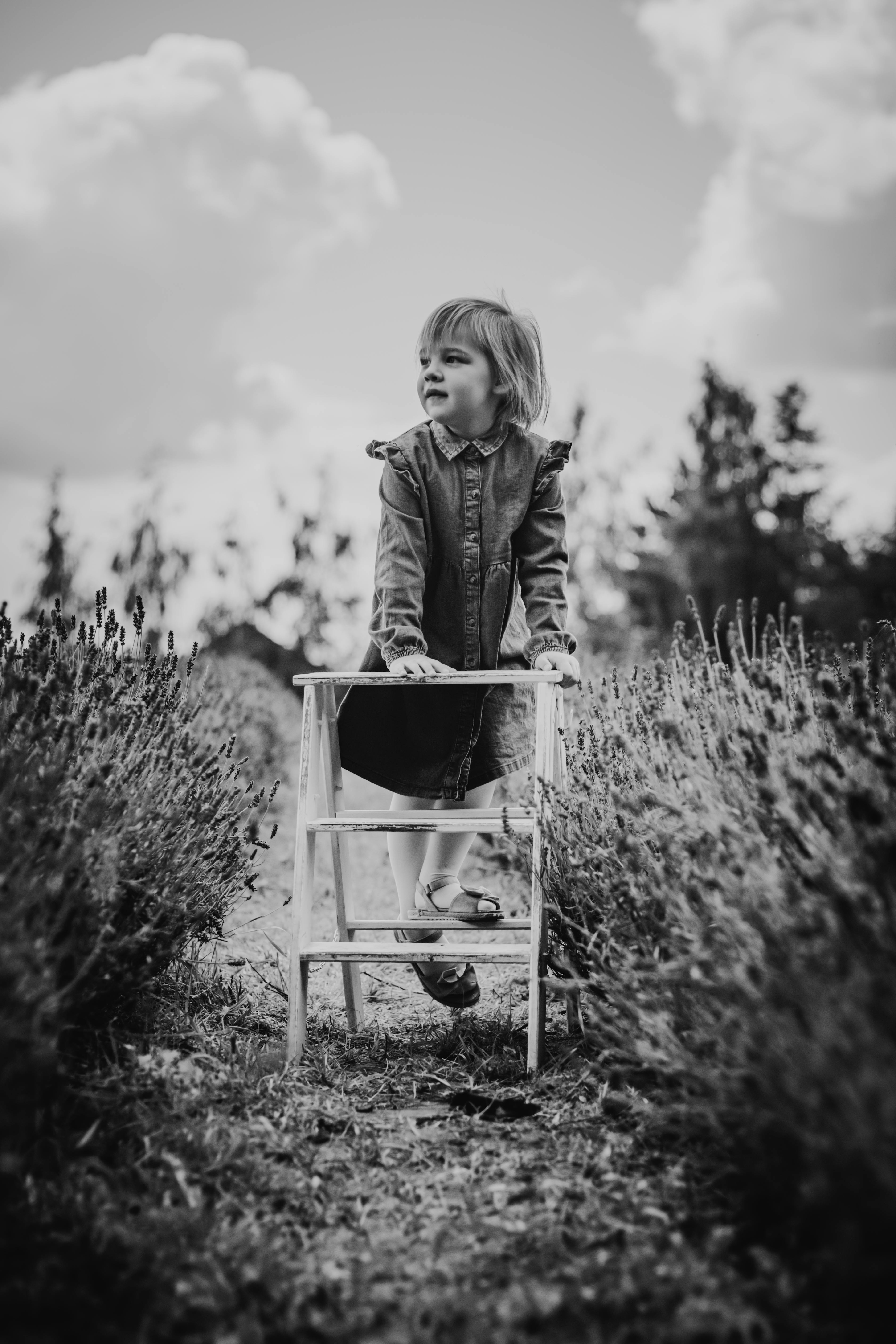 Grayscale Photo of Girl on the Step of a Ladder · Free Stock Photo