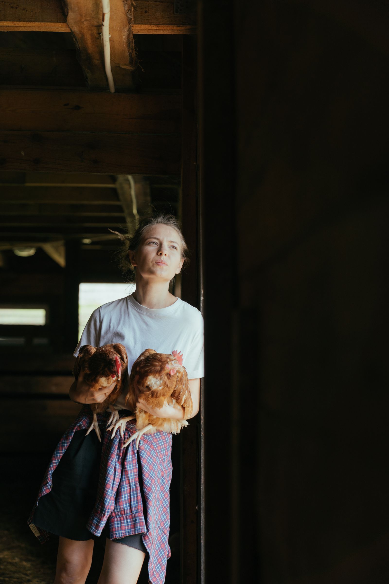 Farm Girl Photos, Download The BEST Free Farm Girl Stock Photos & HD Images
