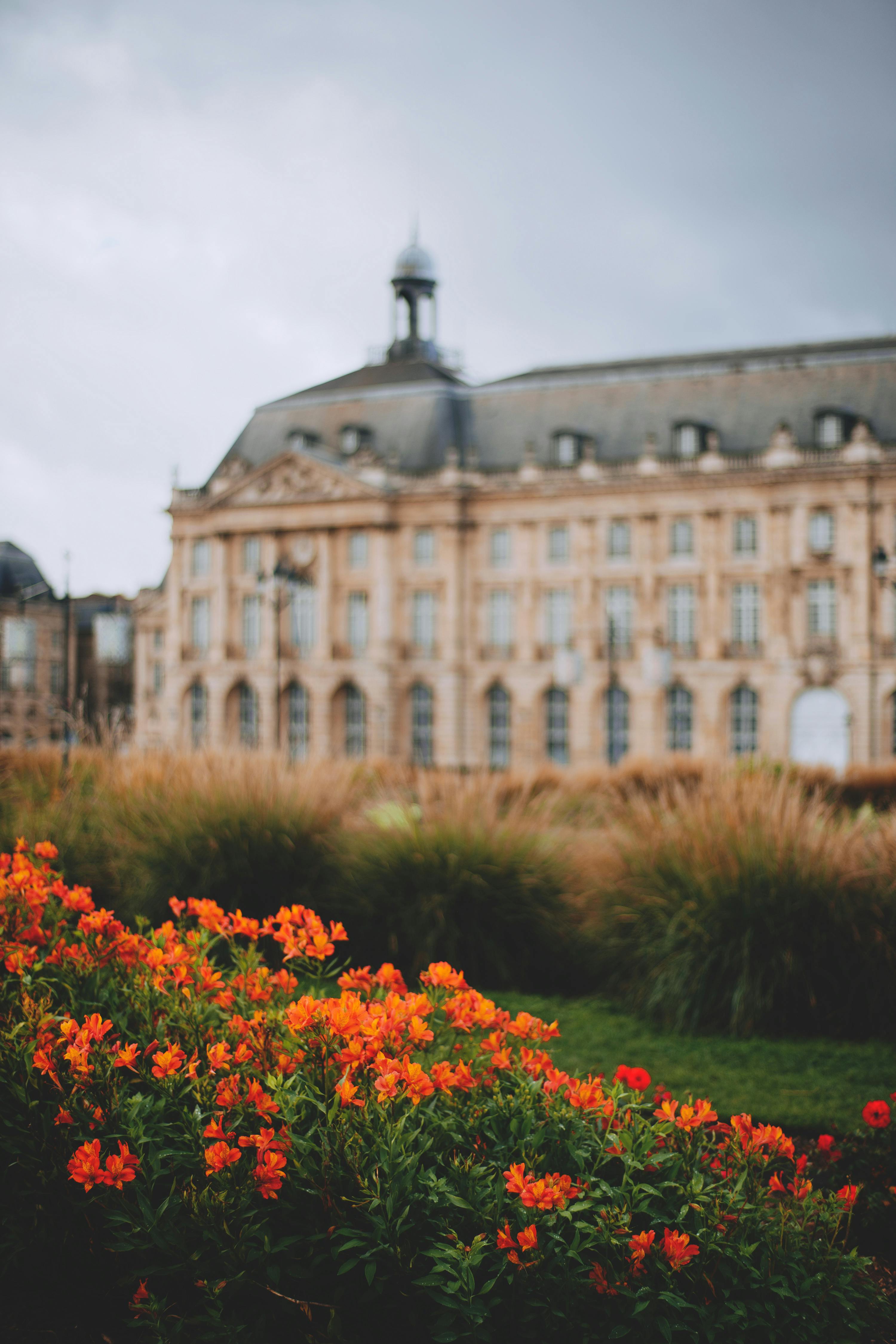 30,000+ Best Residential Tower Photos · 100% Free Download · Pexels ...