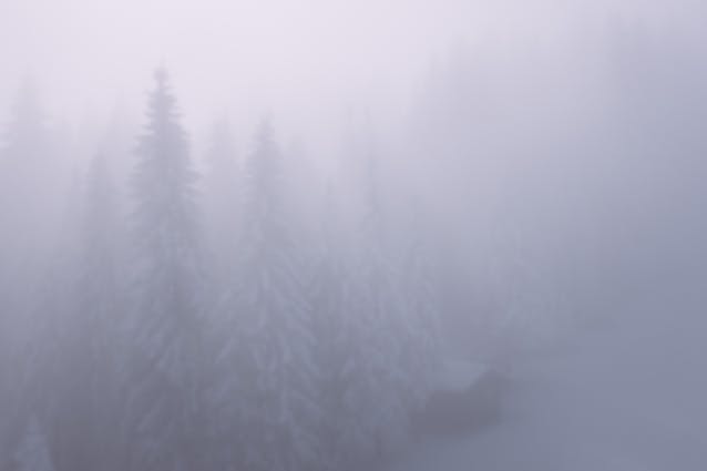 North Bengal State Transport Corporation Bus Timings