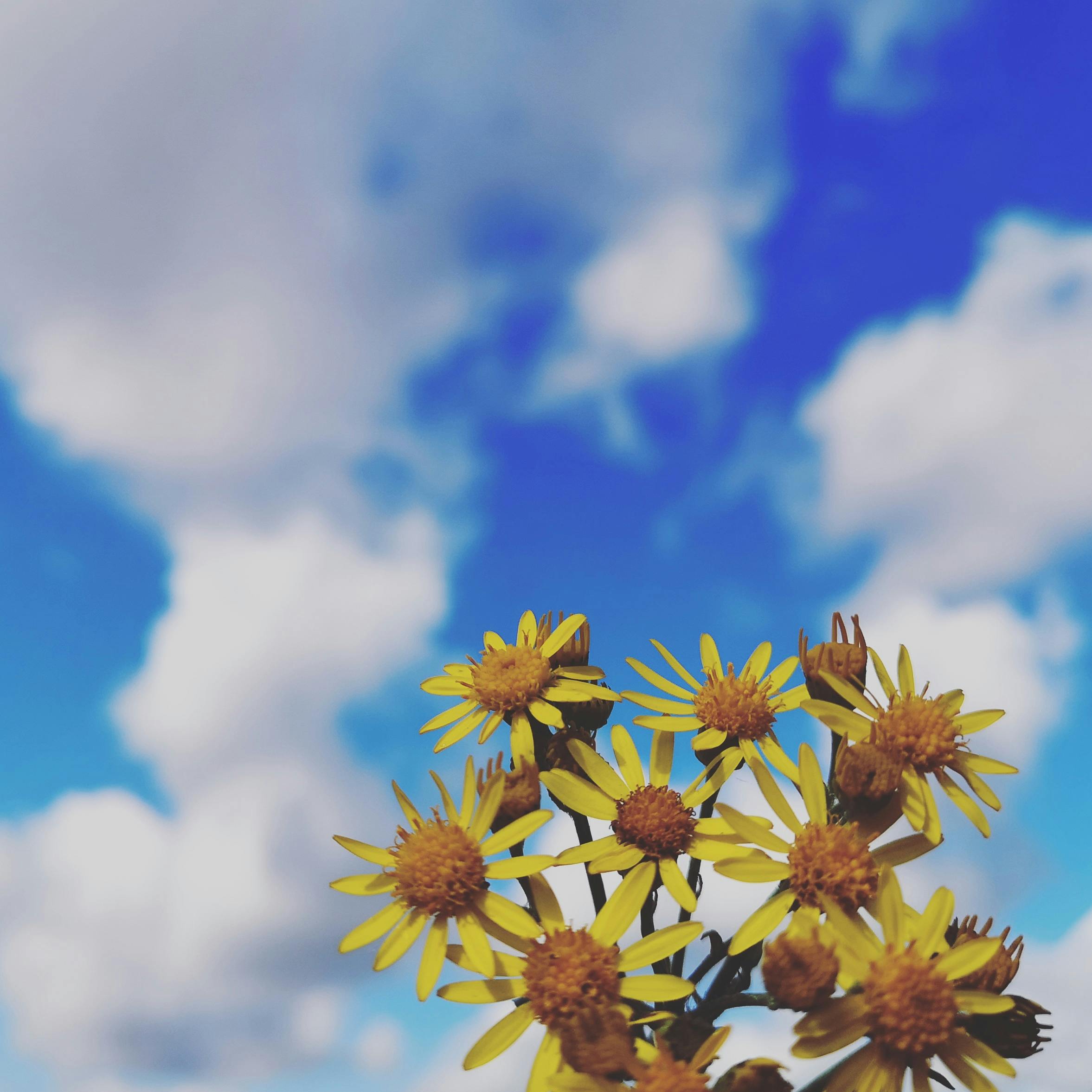 Toby Hammond - 사진