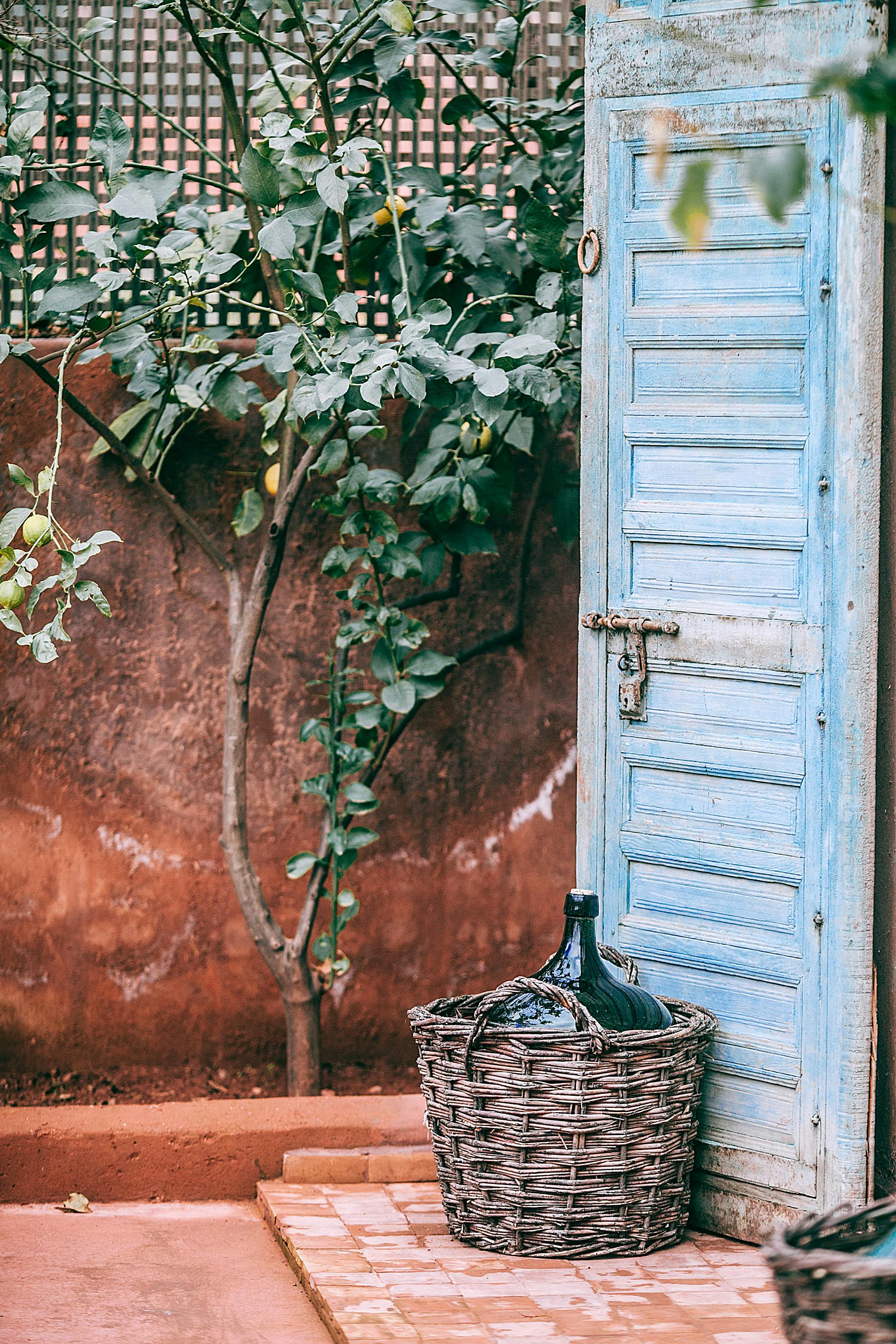 163,618+ Best Free Big tree Stock Photos & Images · 100% Royalty-Free ...