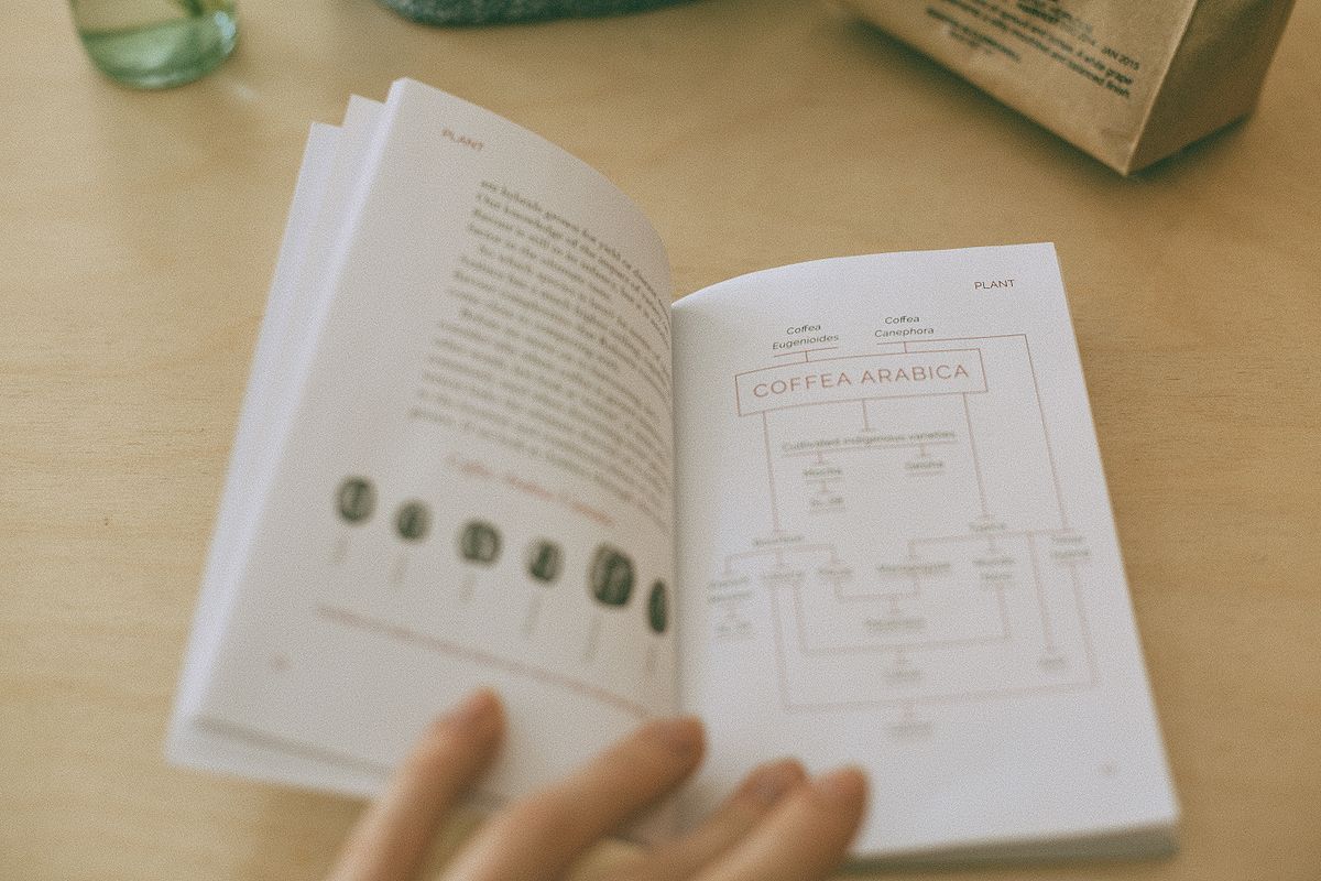 What is a Ponzi scheme? Types, signs, and how to avoid it
